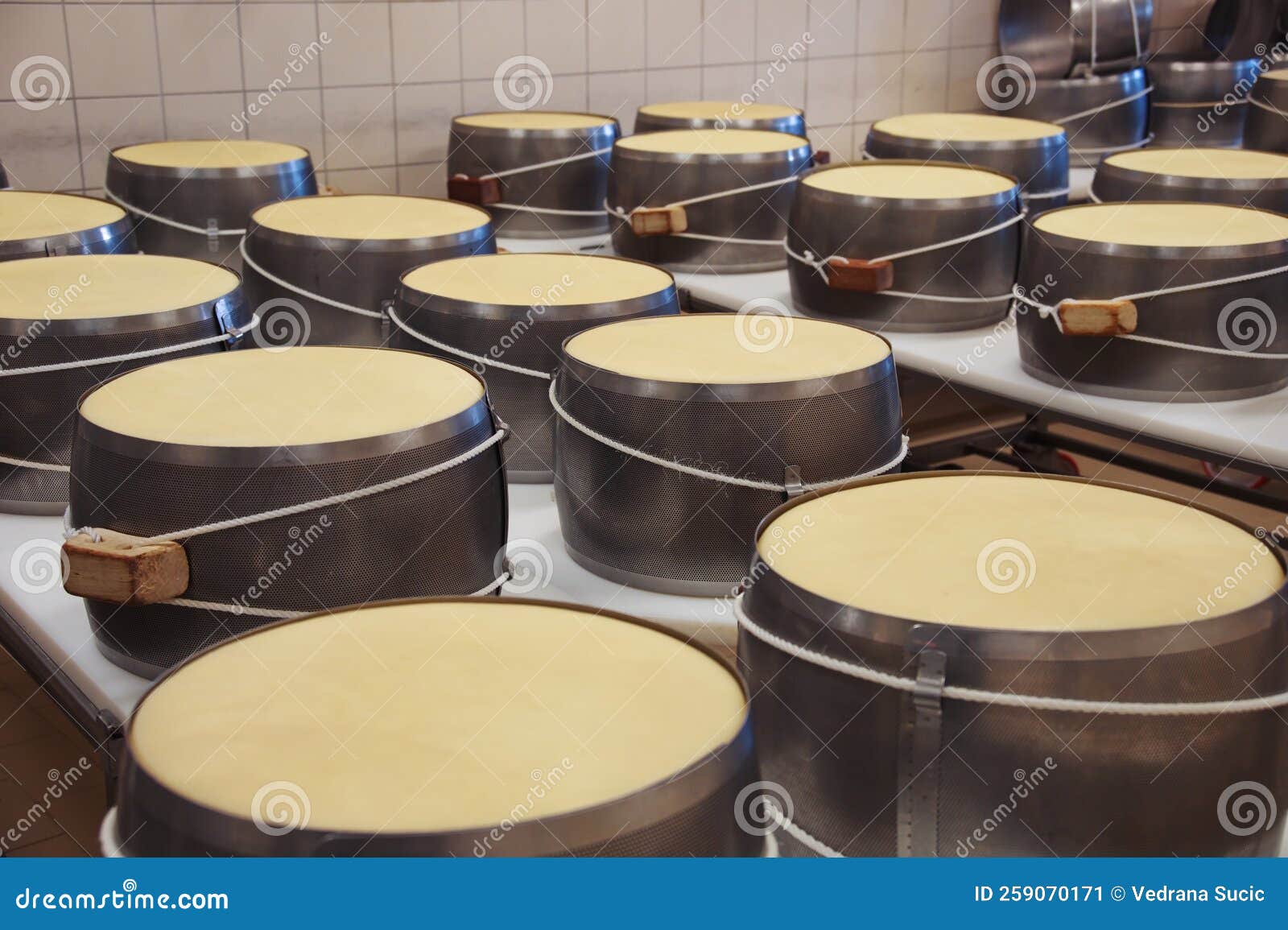 Production of hard cheese stock image. Image of factory - 259070171