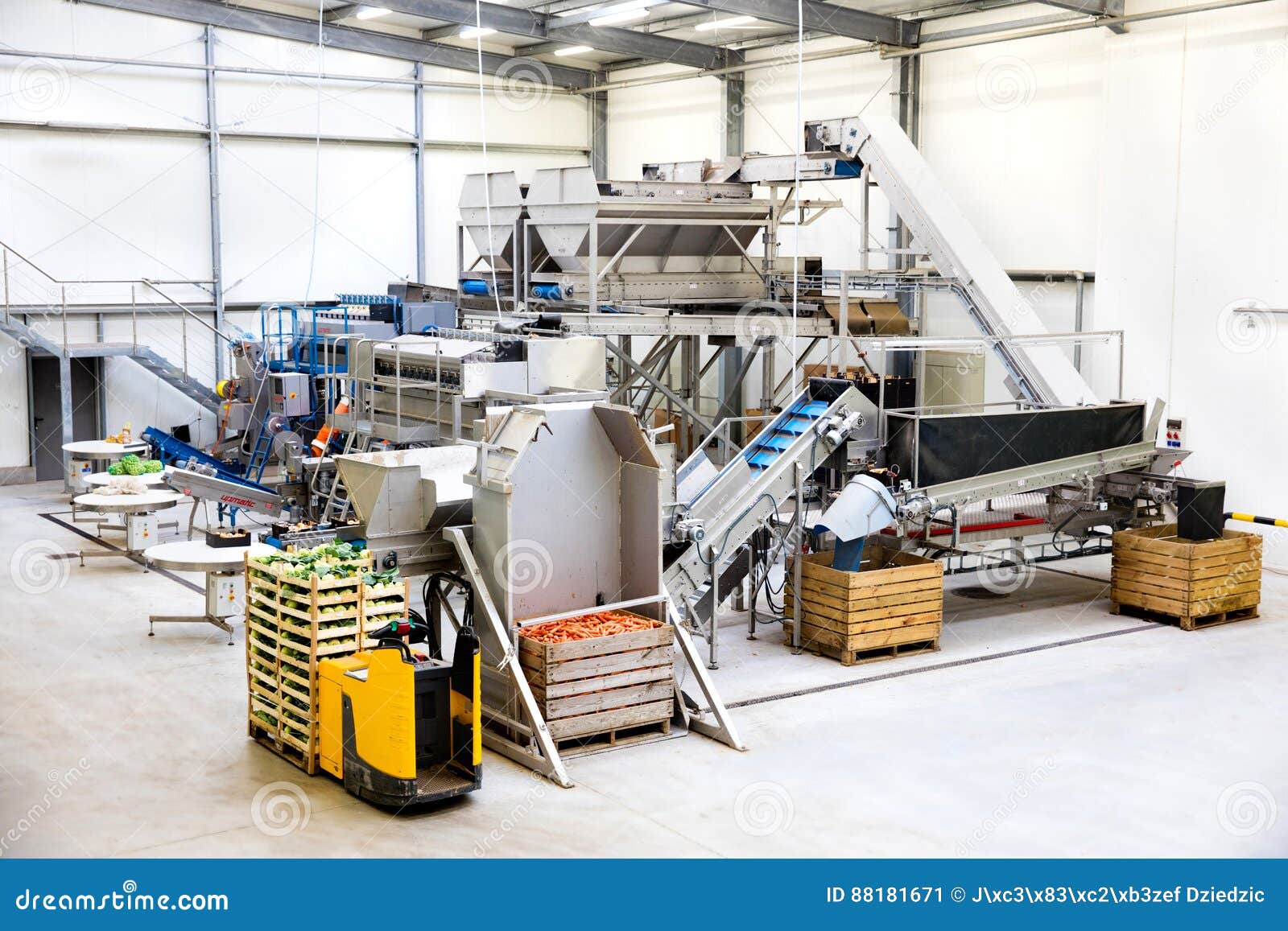 Production Line in Warehouse Editorial Photo - Image of packing ...