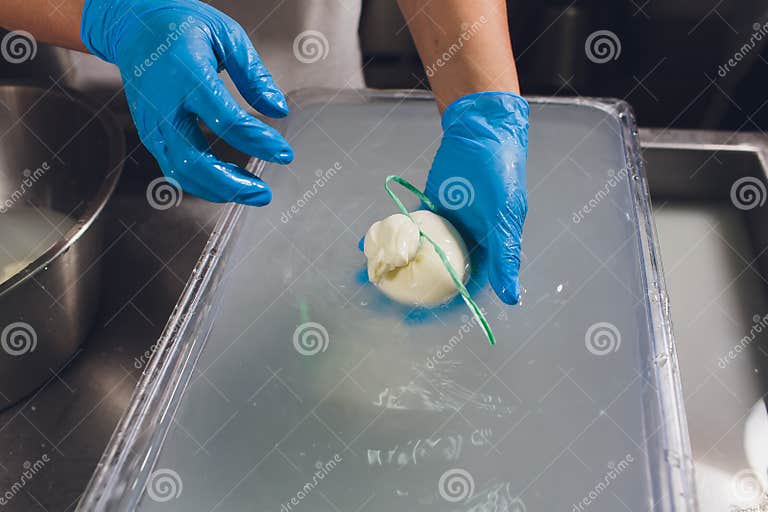 Production Process of Mozzarella Cheese, Cheese Making Process. Stock ...