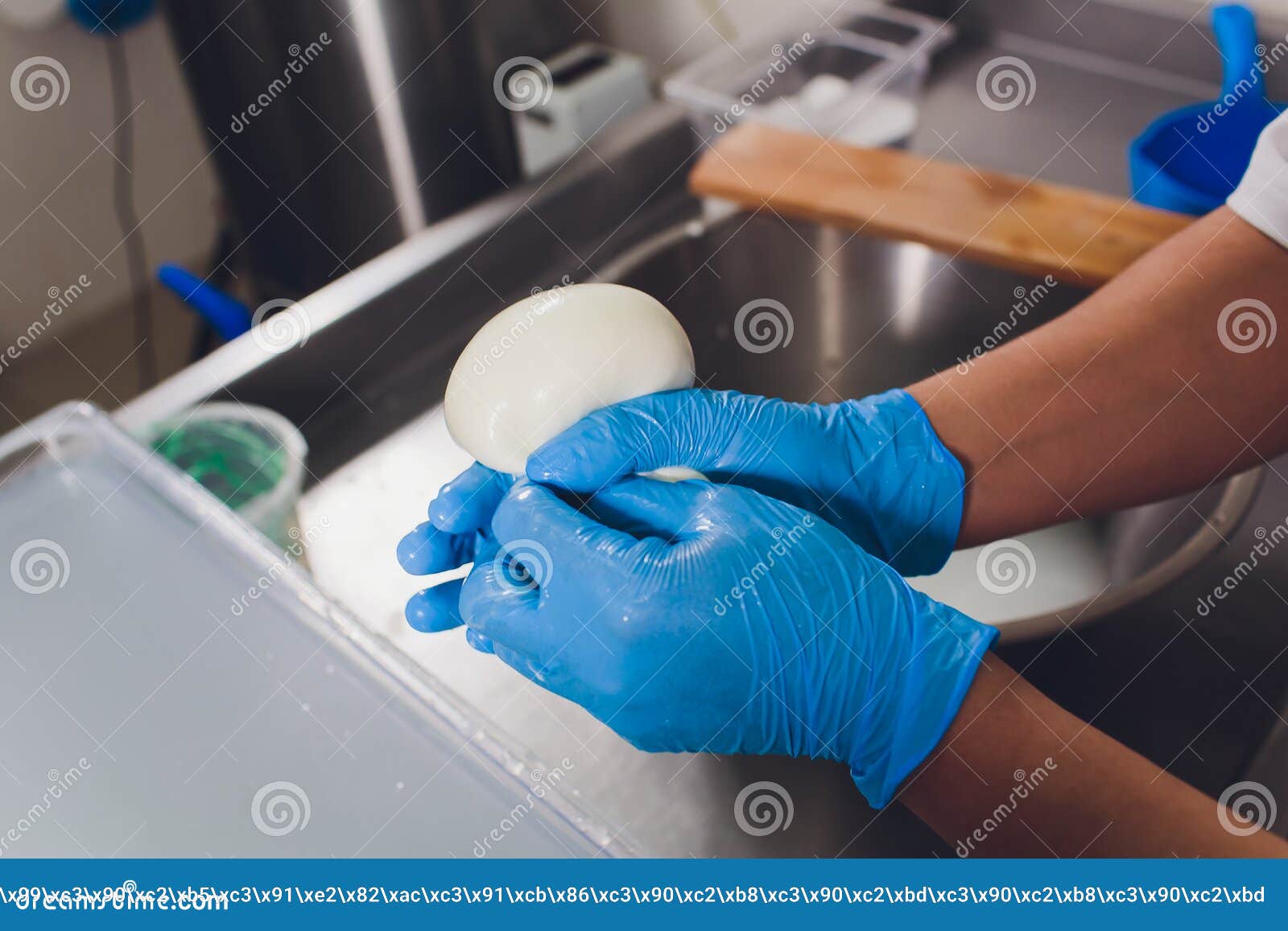 Production Process of Mozzarella Cheese, Cheese Making Process. Stock ...