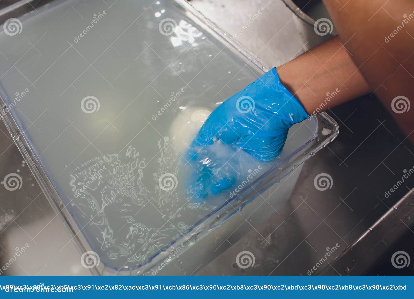 Production Process of Mozzarella Cheese, Cheese Making Process. Stock ...