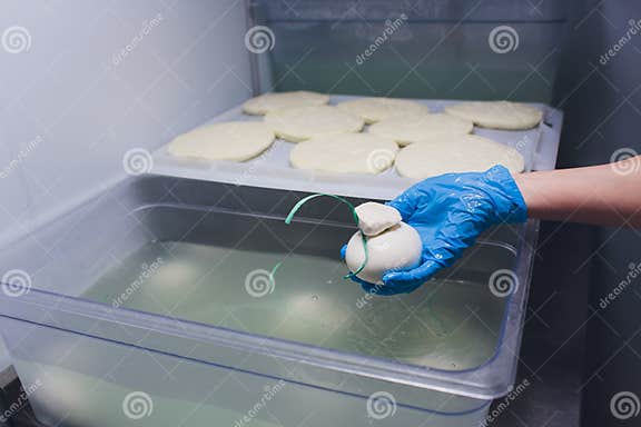 Production Process of Mozzarella Cheese, Cheese Making Process. Stock ...