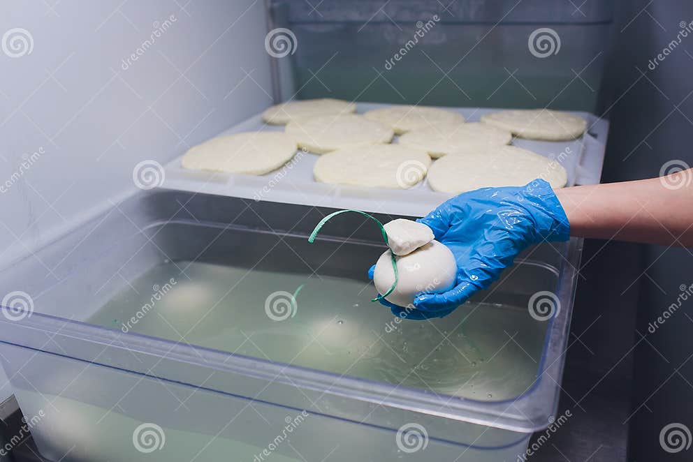Production Process of Mozzarella Cheese, Cheese Making Process. Stock ...