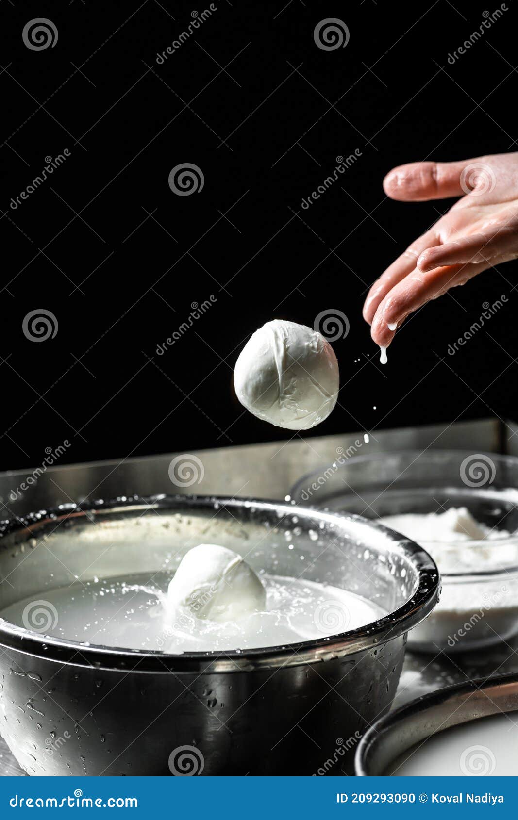 Production Process of Mozzarella Cheese. Woman Working in a Small ...