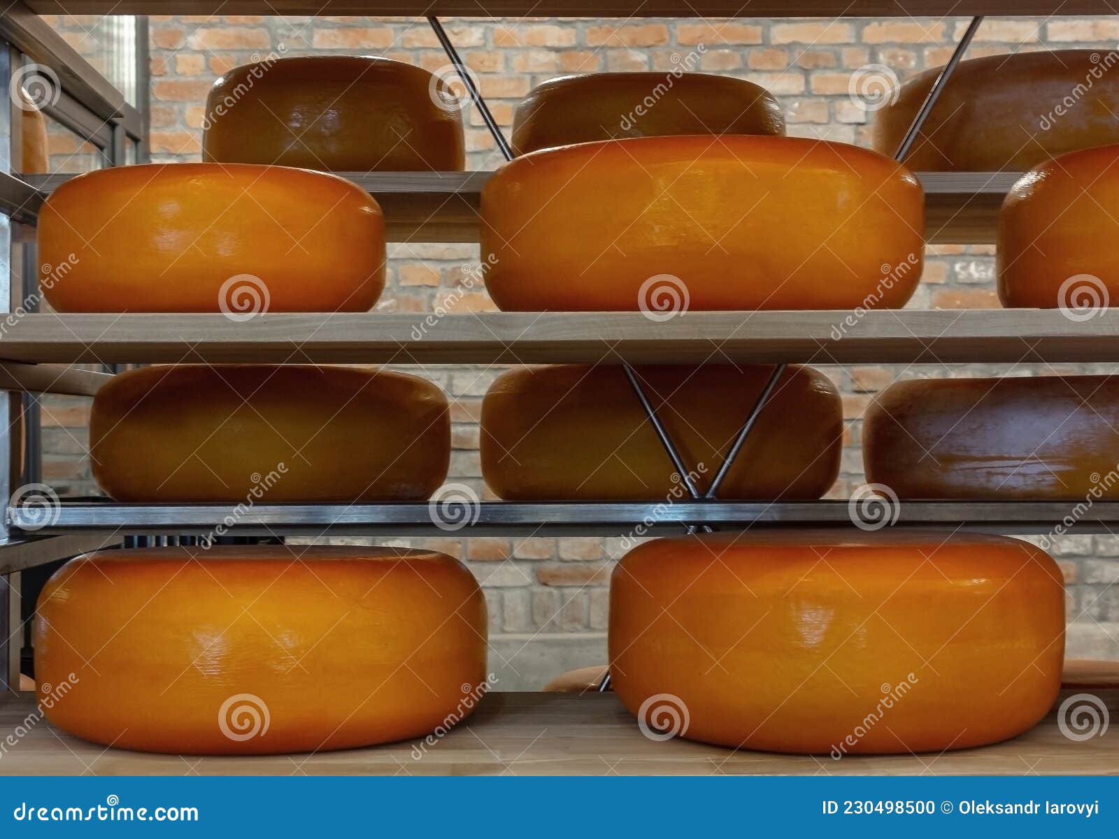 Production Shelves of a Cheese Stock Photo - Image of gouda, creamery ...