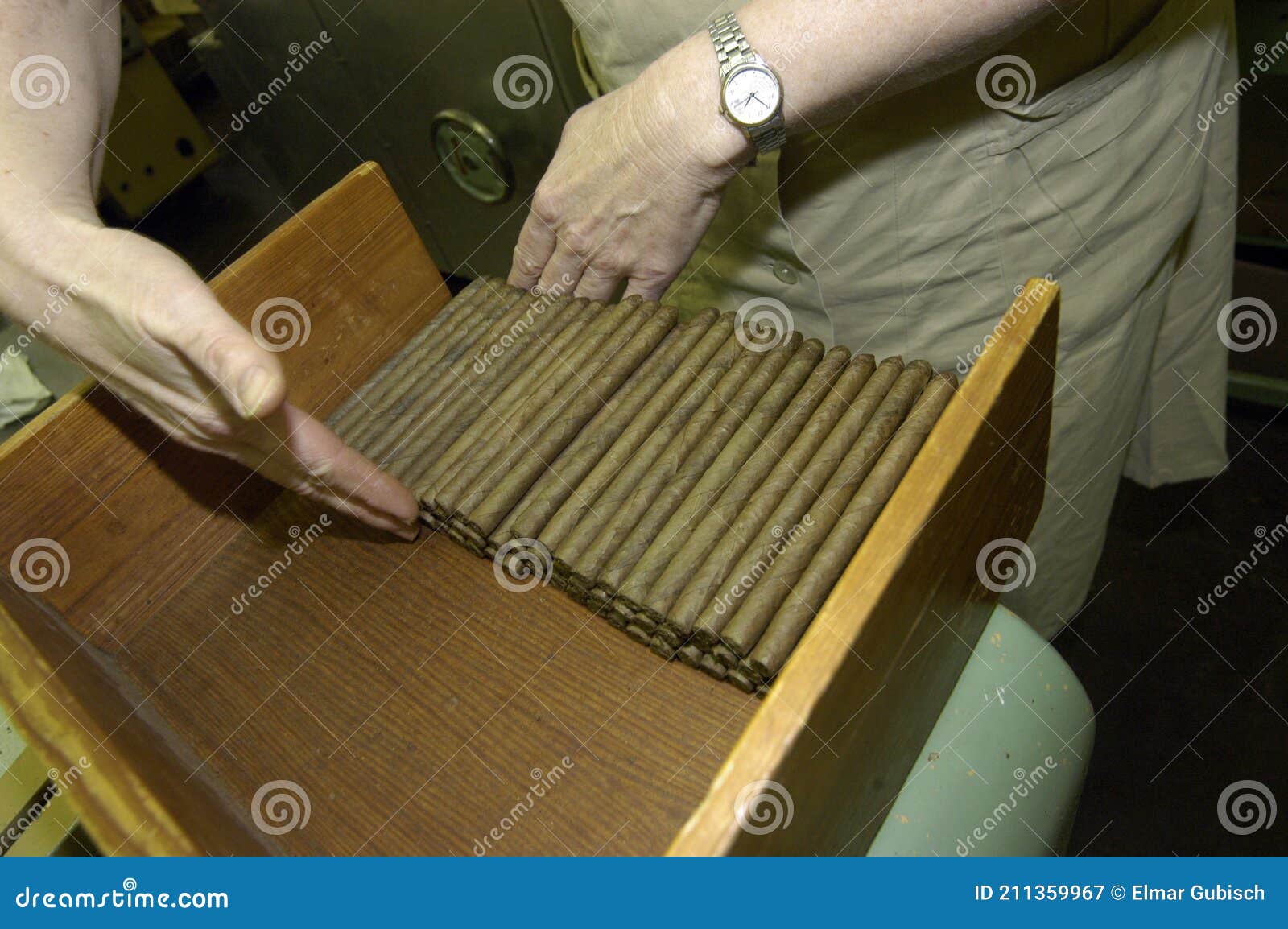 Production of Tobacco Goods in a Factory Stock Image - Image of cigars ...