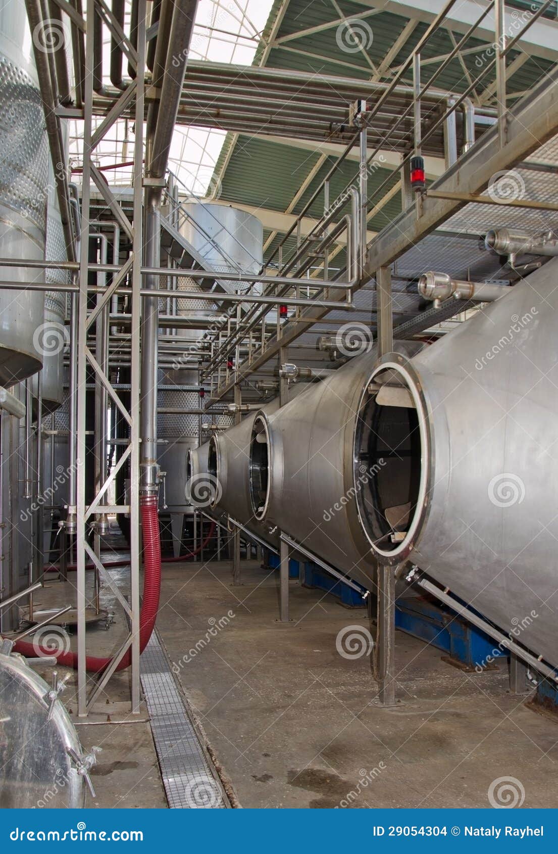 Production of wine stock photo. Image of growth, perspective - 29054304