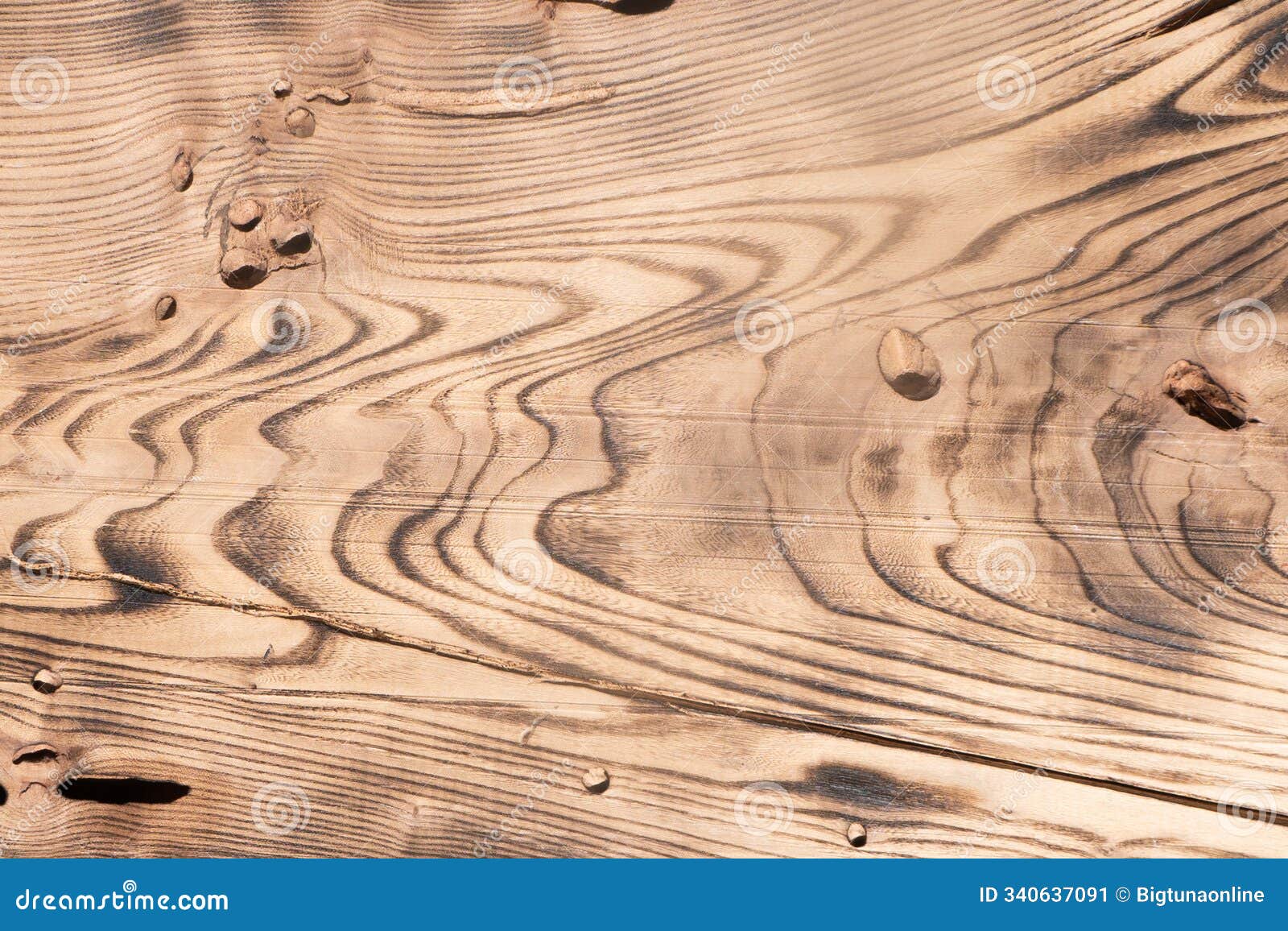 Elm Slab Texture. Live Edge Elm Countertop. Wood Texture Royalty-Free ...