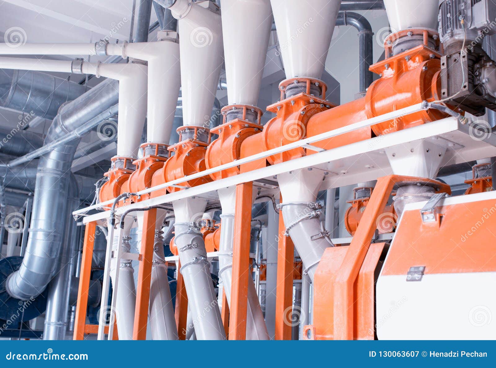 Production Workshop for the Production of Food Flour, Processing of ...