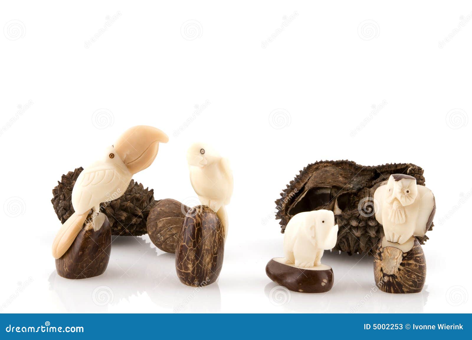 Productos del tagua imagen de archivo. Imagen de fruta - 5002253