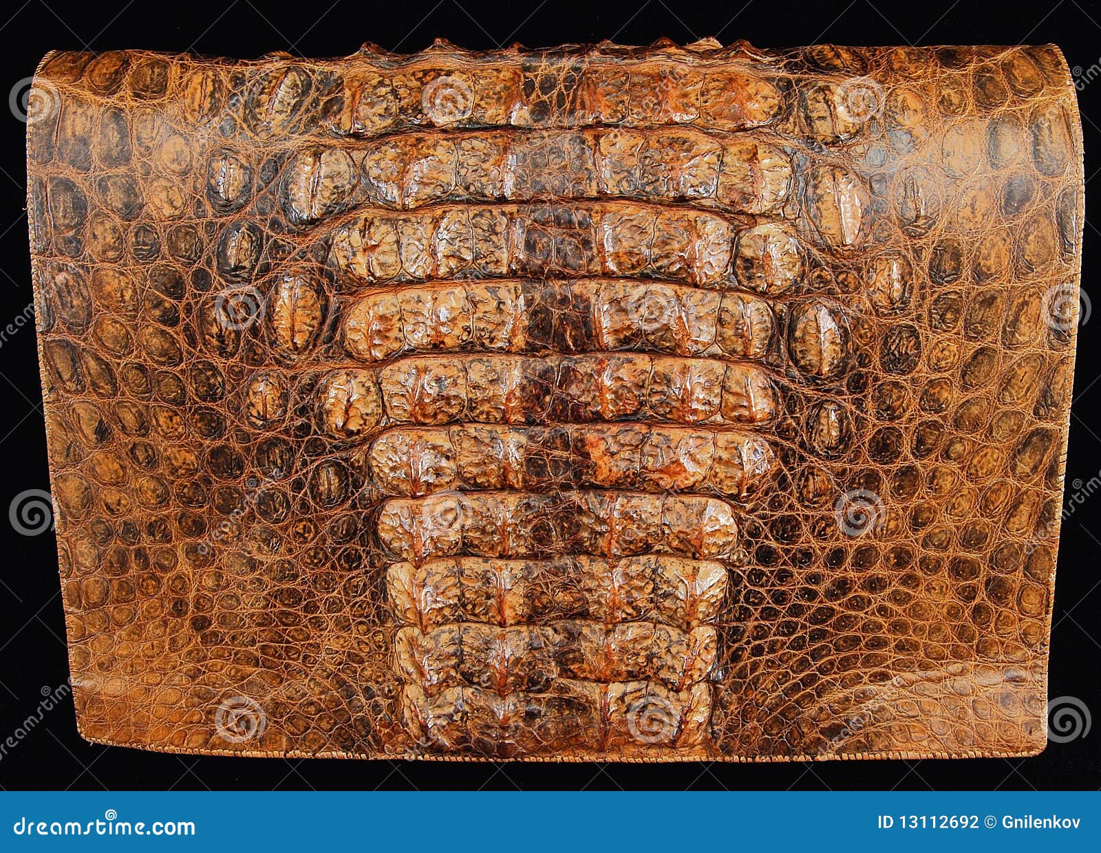 Products from a Crocodile and a Snake Stock Photo - Image of masculine ...