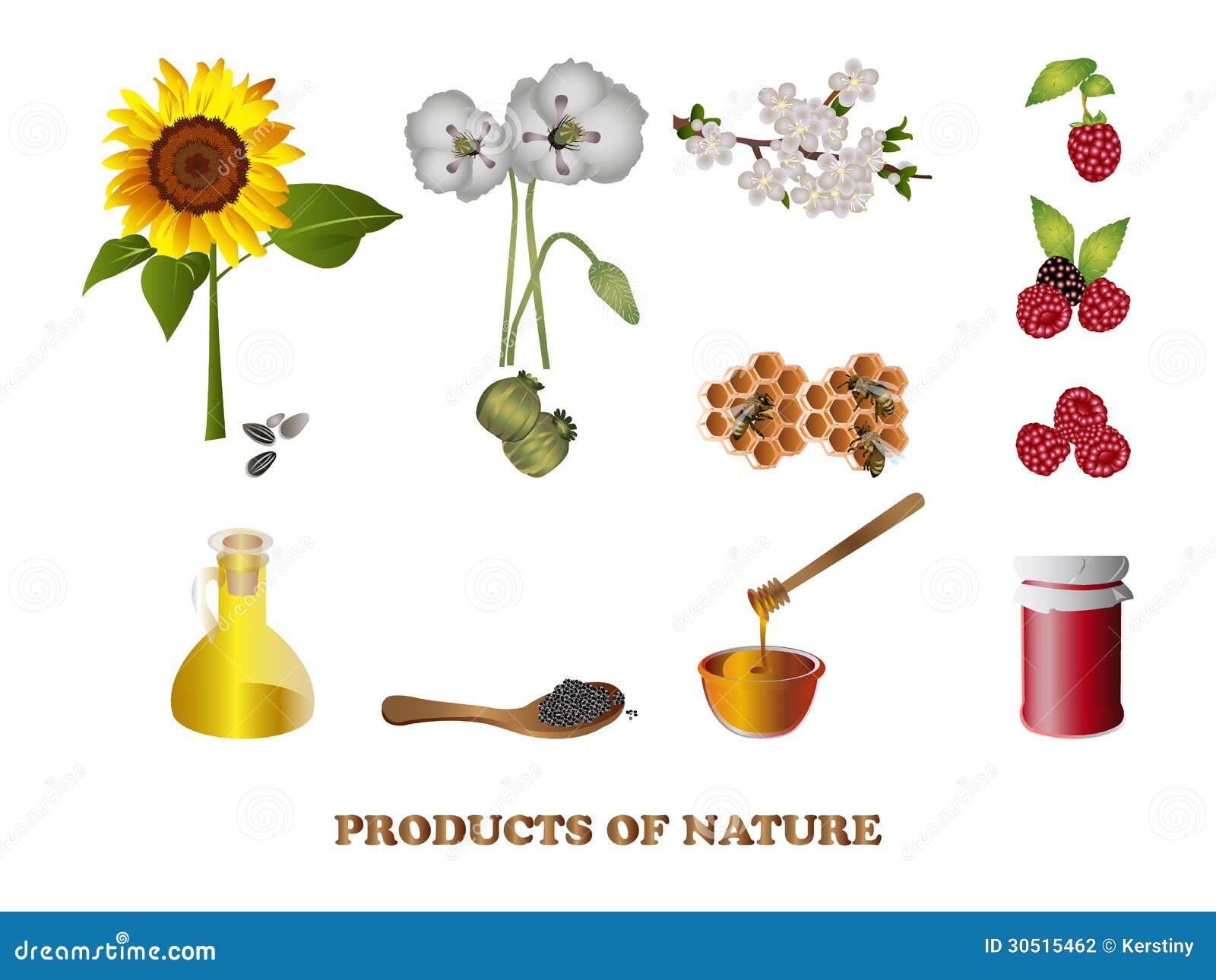 Products of nature stock illustration. Illustration of field - 30515462