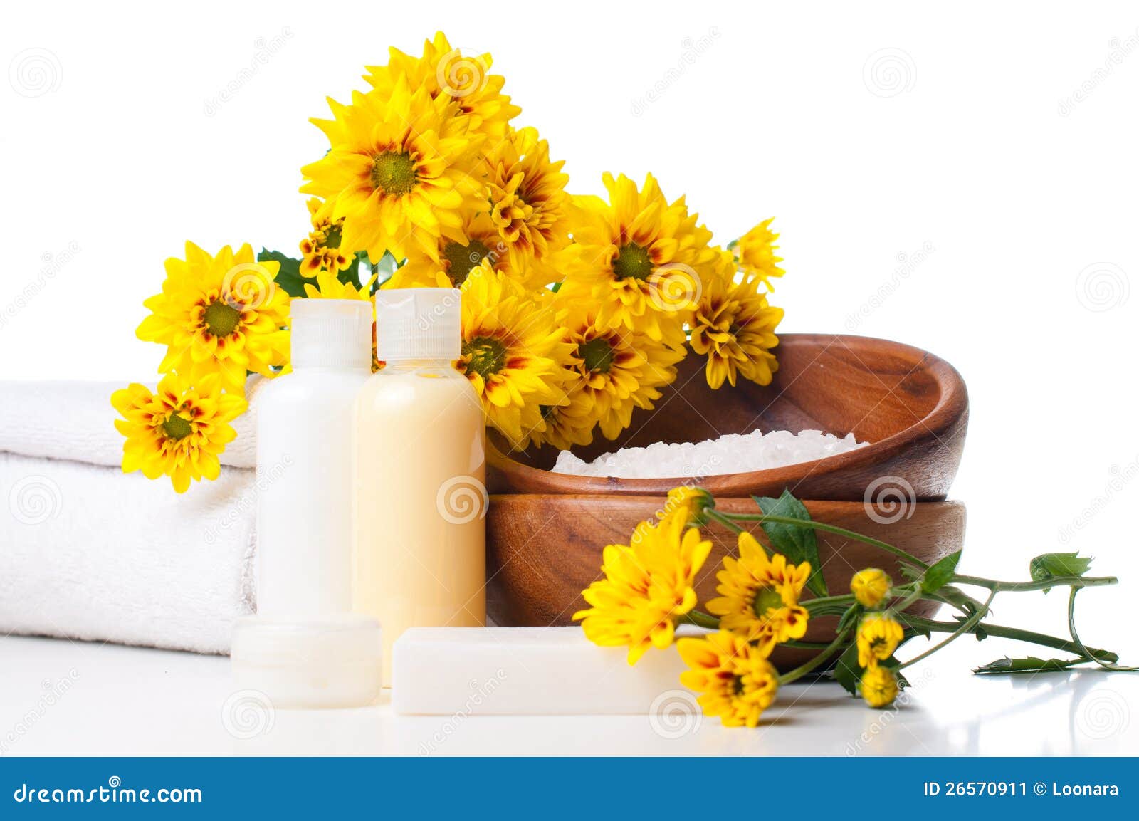 Products for Spa, Body Care and Hygiene Stock Image - Image of items ...