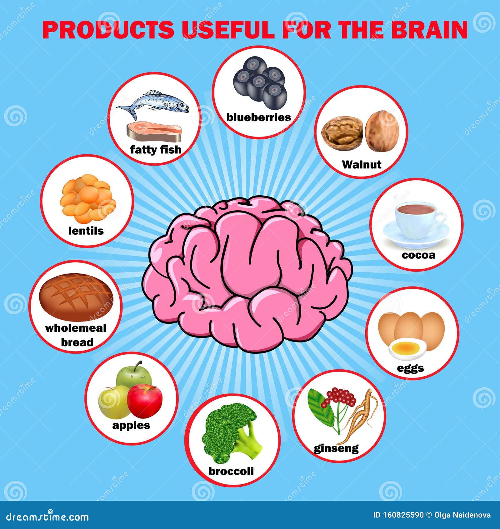 Products Useful for the Brain Stock Vector - Illustration of concept ...