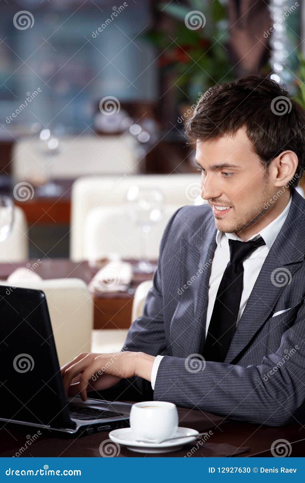 Professional stock photo. Image of busy, portrait, businessman - 12927630