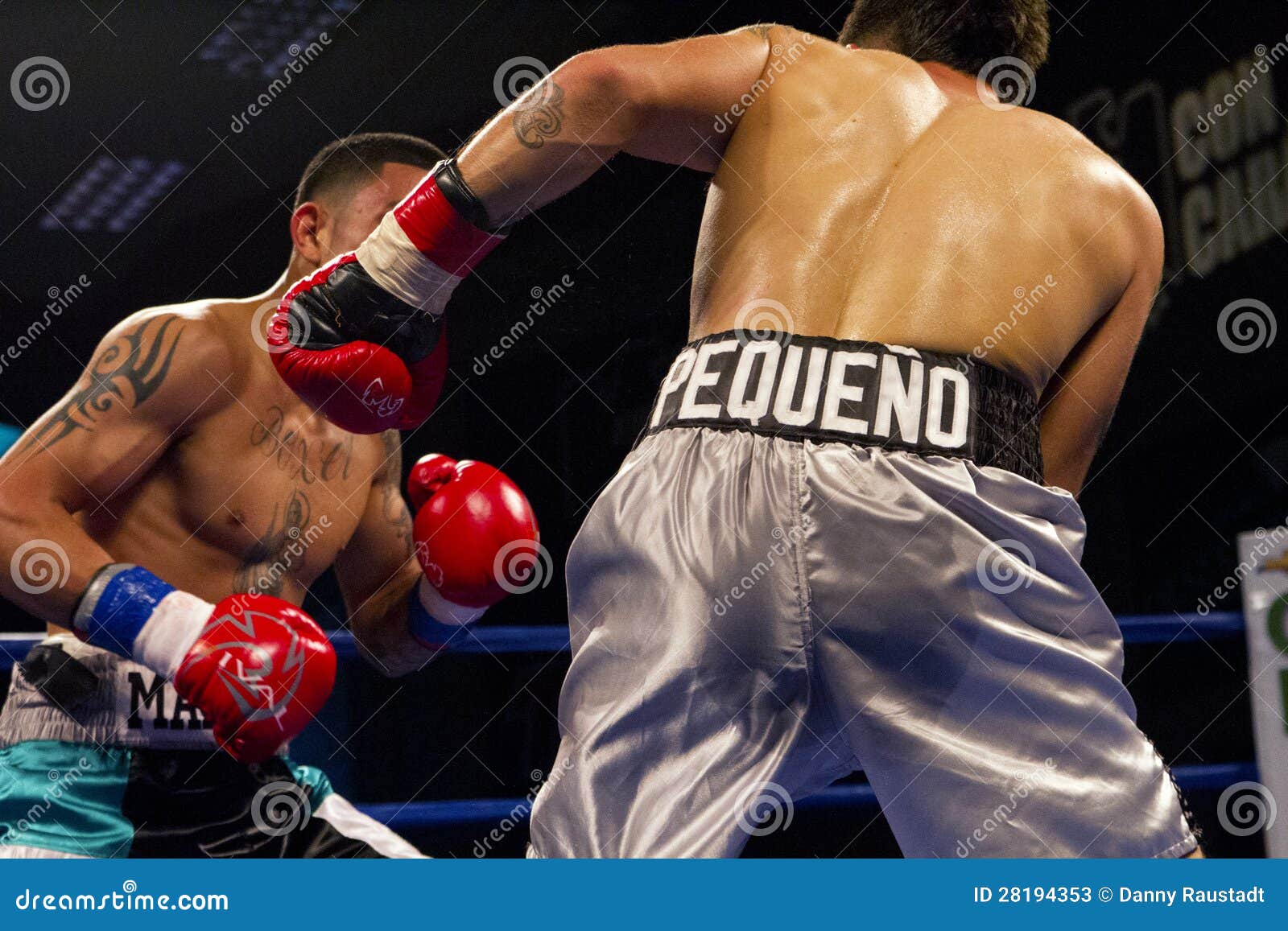 Professional and Amateur Boxing Editorial Stock Photo - Image of combat ...