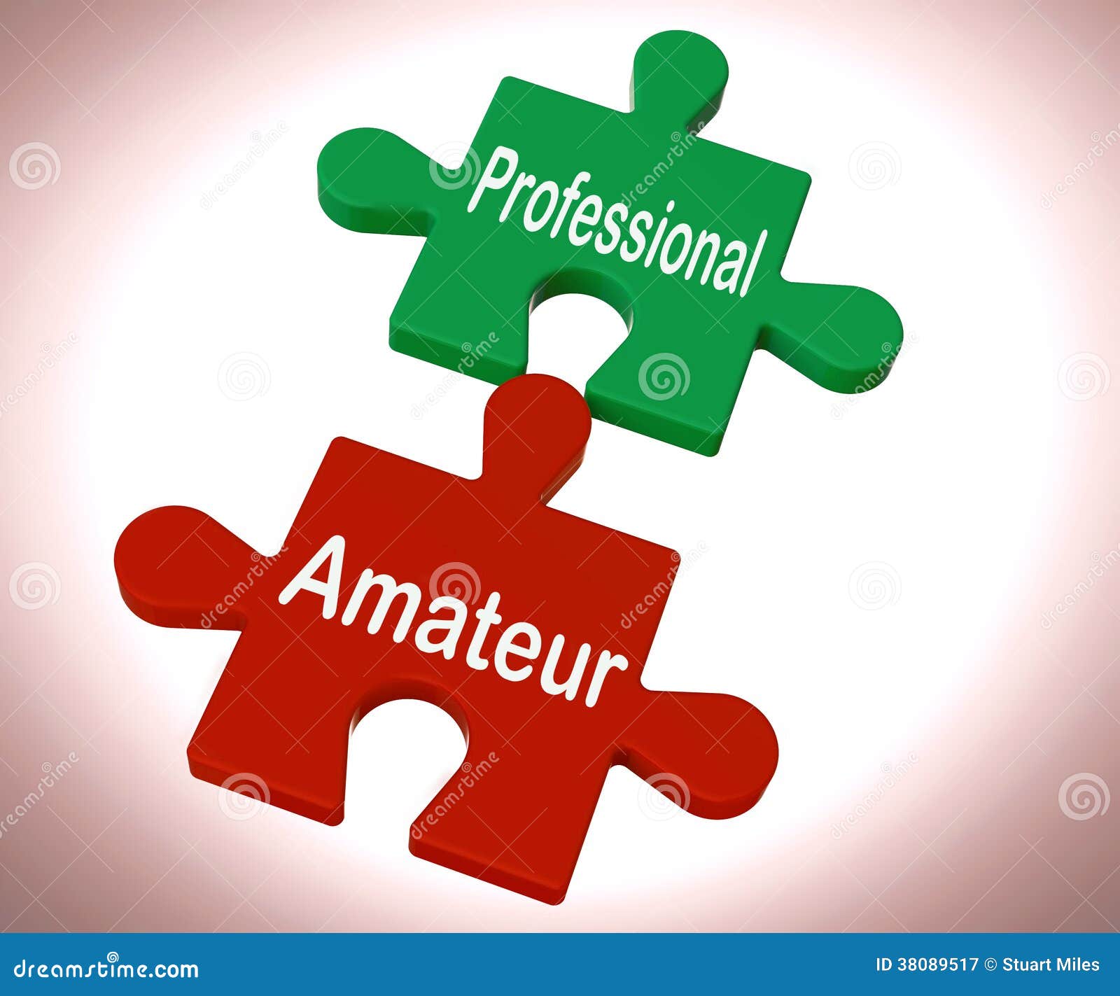 Professional Amateur Puzzle Shows Expert and Apprentice Stock ...