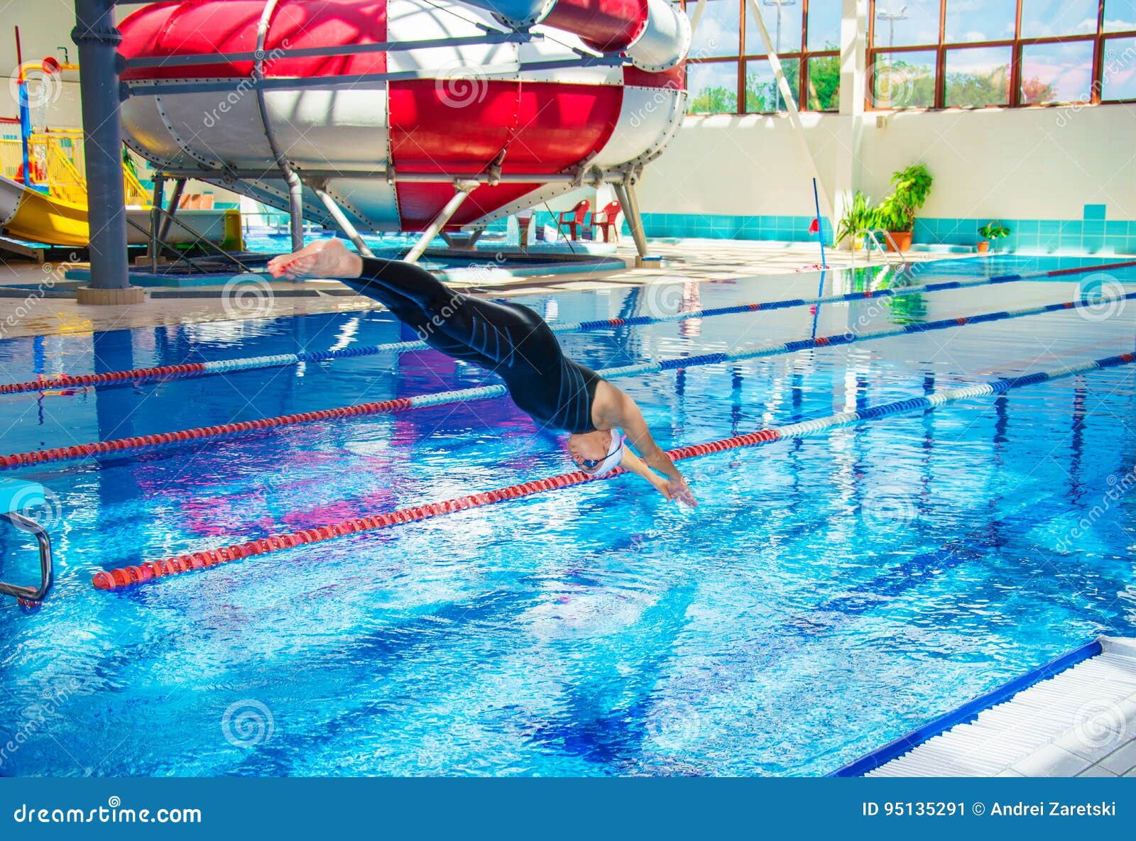 Professional Athlete Jumps into the Water in the Pool Stock Image ...