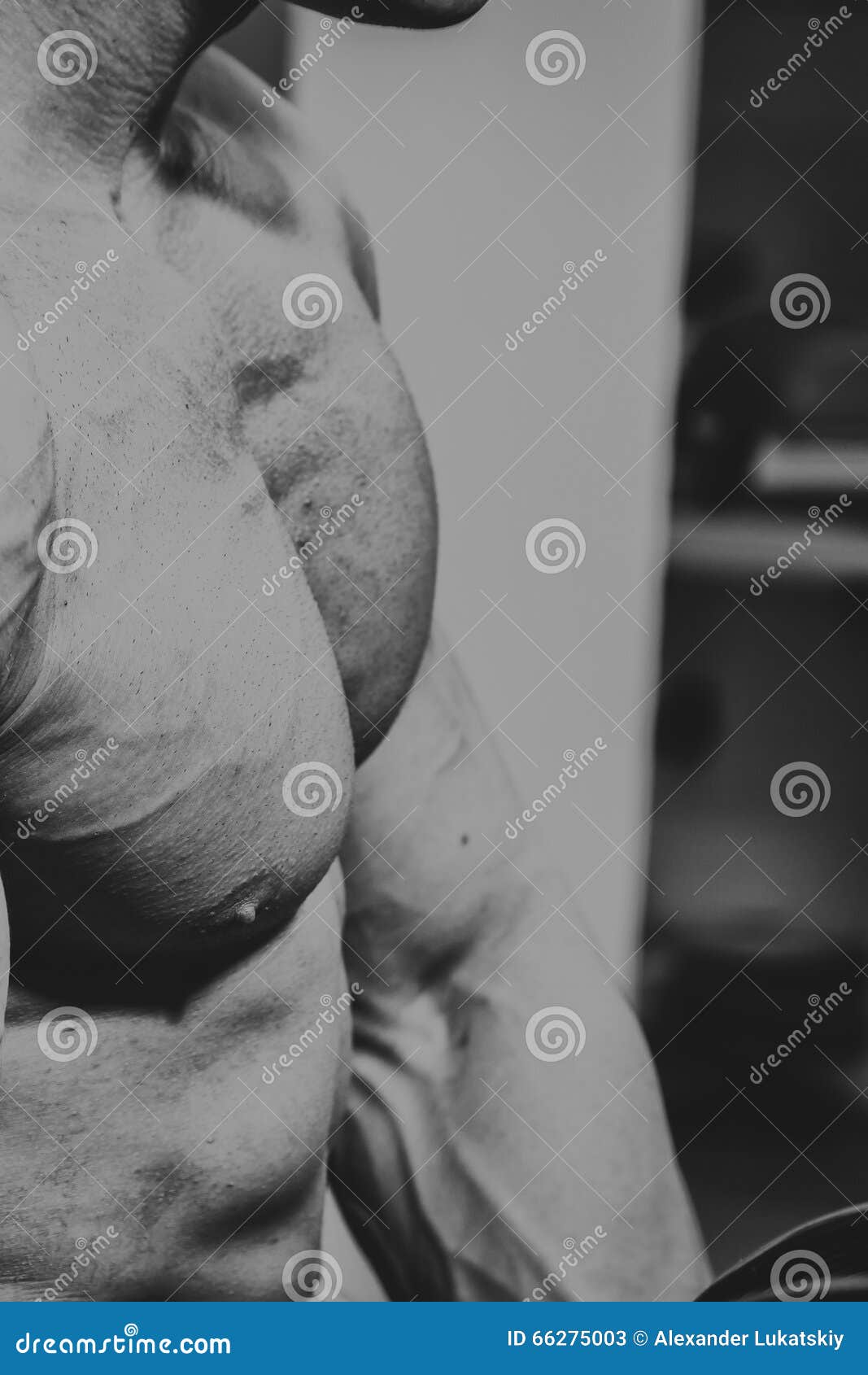 Professional Athlete Performs Exercises in the Gym Stock Image - Image ...