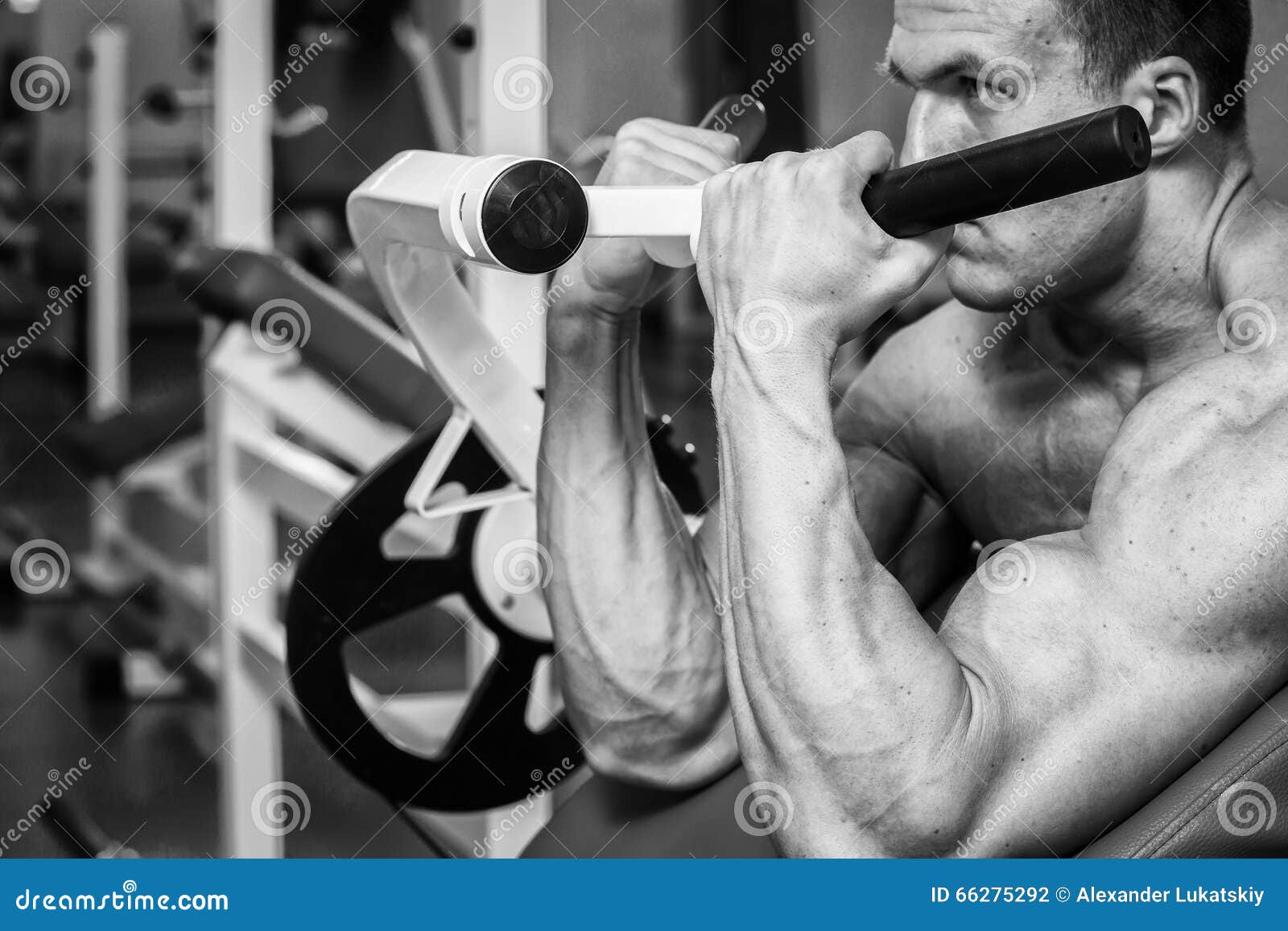Professional Athlete Performs Exercises in the Gym Stock Photo - Image ...