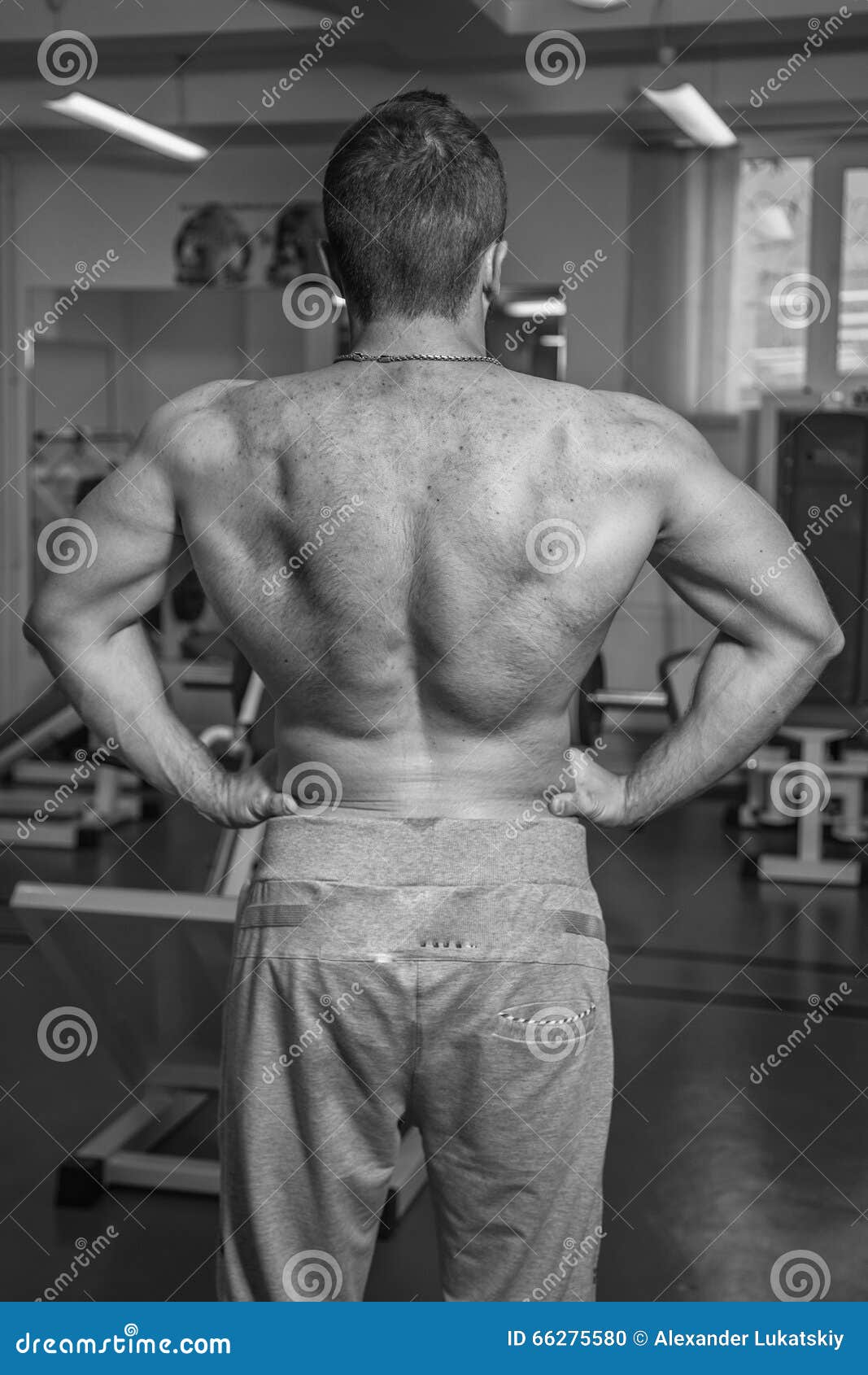 Professional Athlete Performs Exercises in the Gym Stock Photo - Image ...