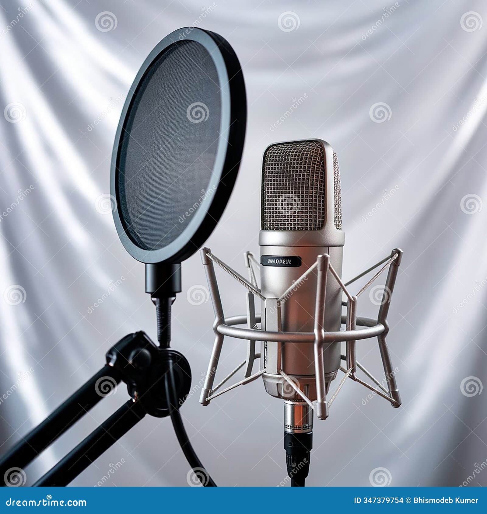 Professional Audio Recorder Microphone Stock Illustration ...