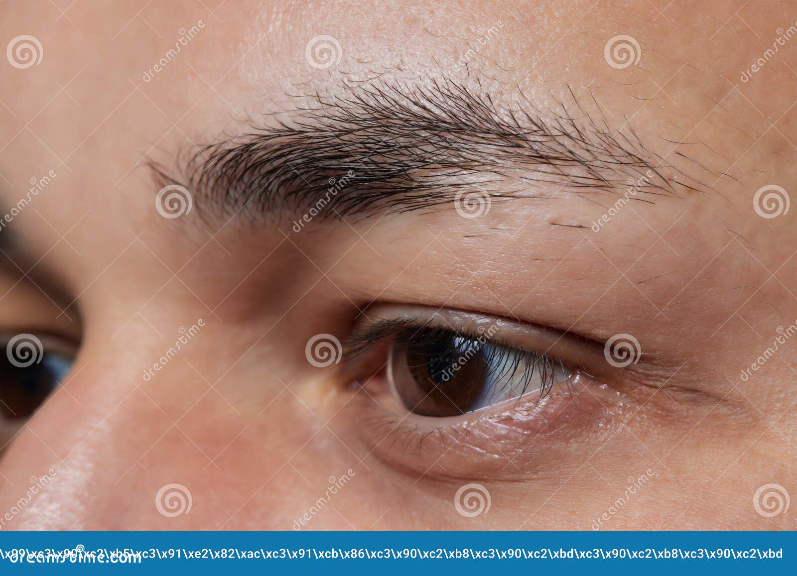 Professional Barber Doing Threading Procedure and Correcting Shape of ...