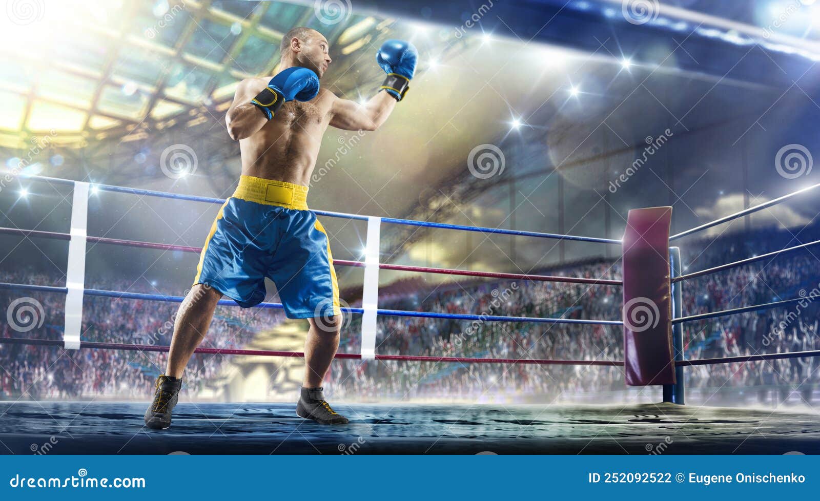Professional Box Figter on the Grand Ring Stock Photo - Image of ...