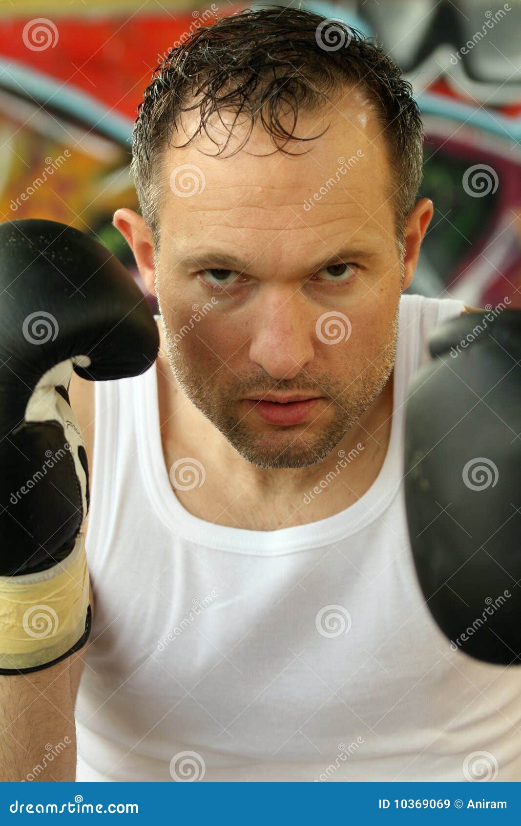 Professional boxer stock image. Image of portrait, fitness - 10369069