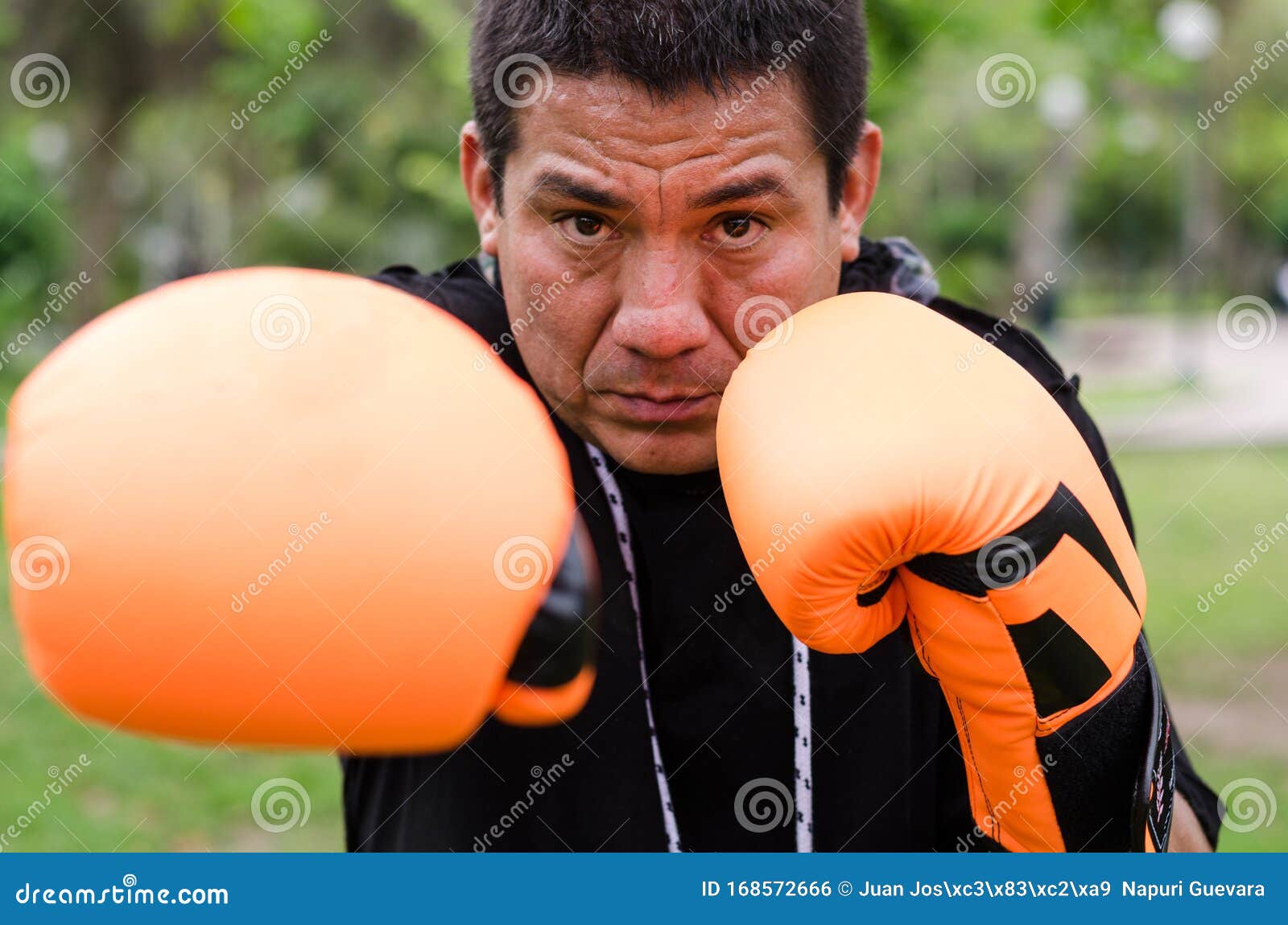 Professional Boxer Punching