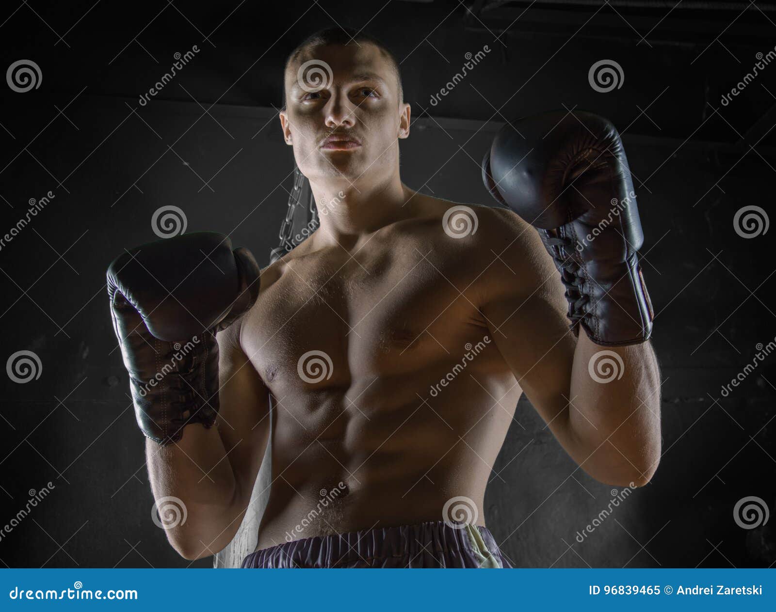 The Professional Boxer Stands in the Fighting Stance Stock Image ...