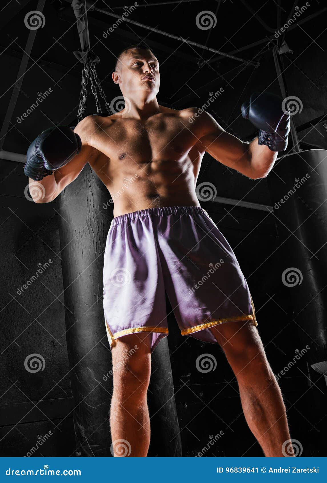 The Professional Boxer Stands in the Fighting Stance Stock Image ...