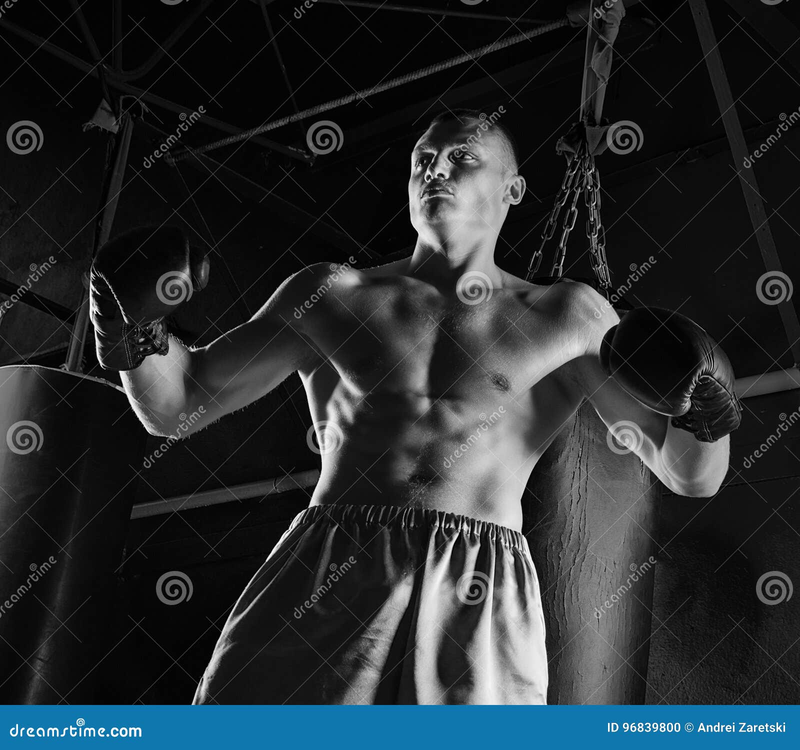 The Professional Boxer Stands in the Fighting Stance Stock Photo ...