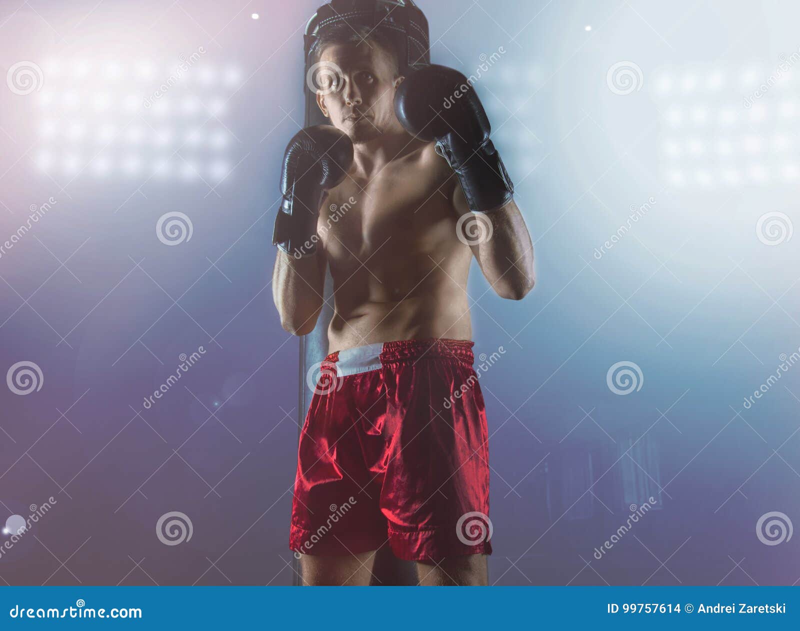 Professional Boxer Stands in the Ring, the Lights Burn. Stock Photo ...