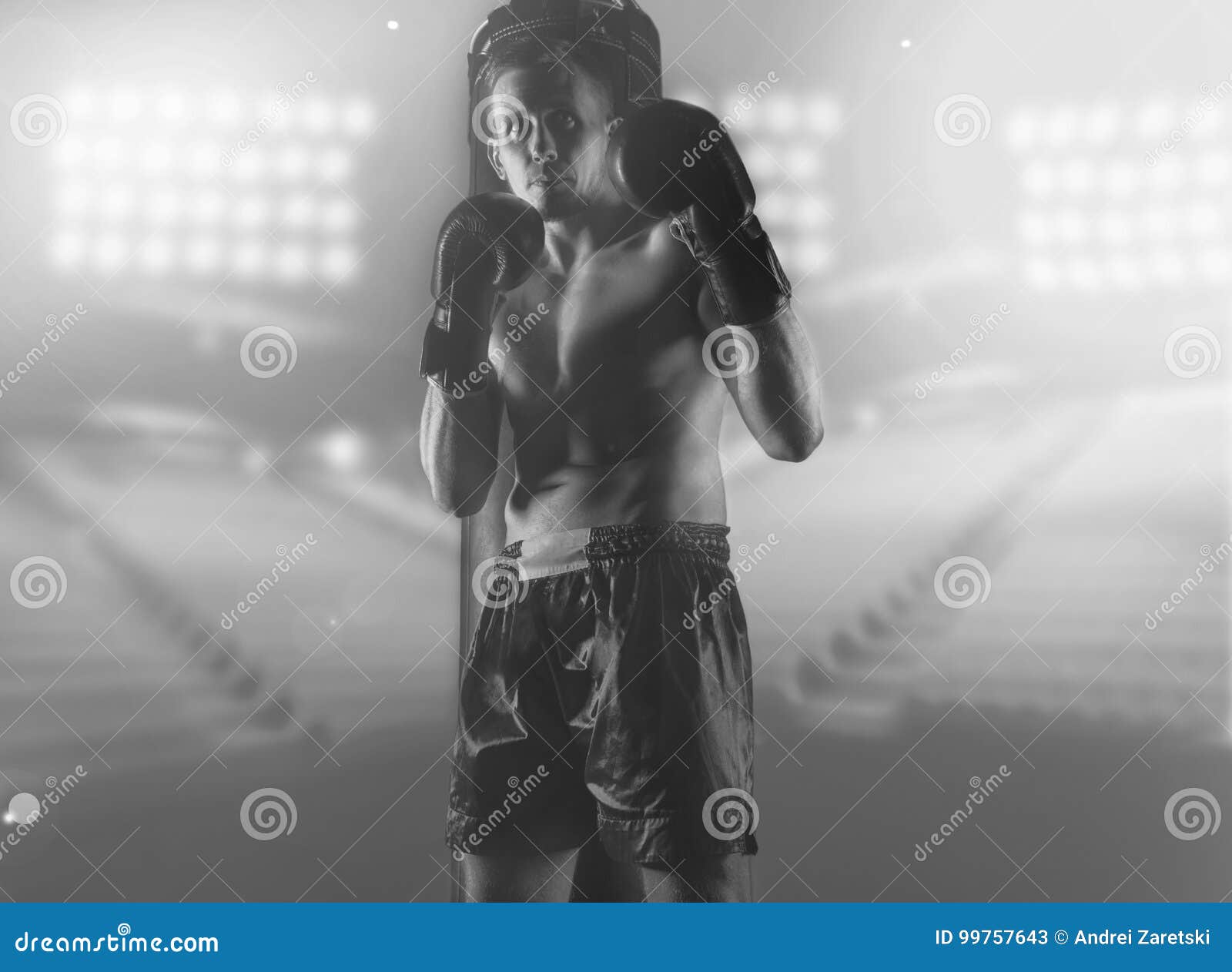 Professional Boxer Stands in the Ring, the Lights Burn. Stock Image ...