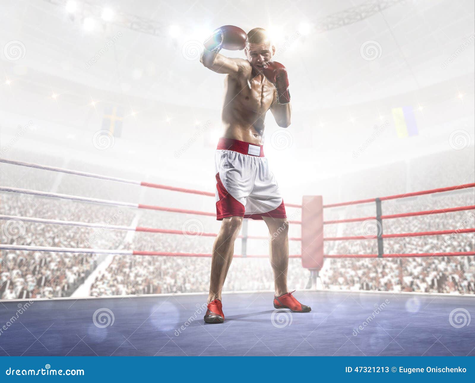 Professional Boxer is Training on the Grand Arena Stock Image - Image ...