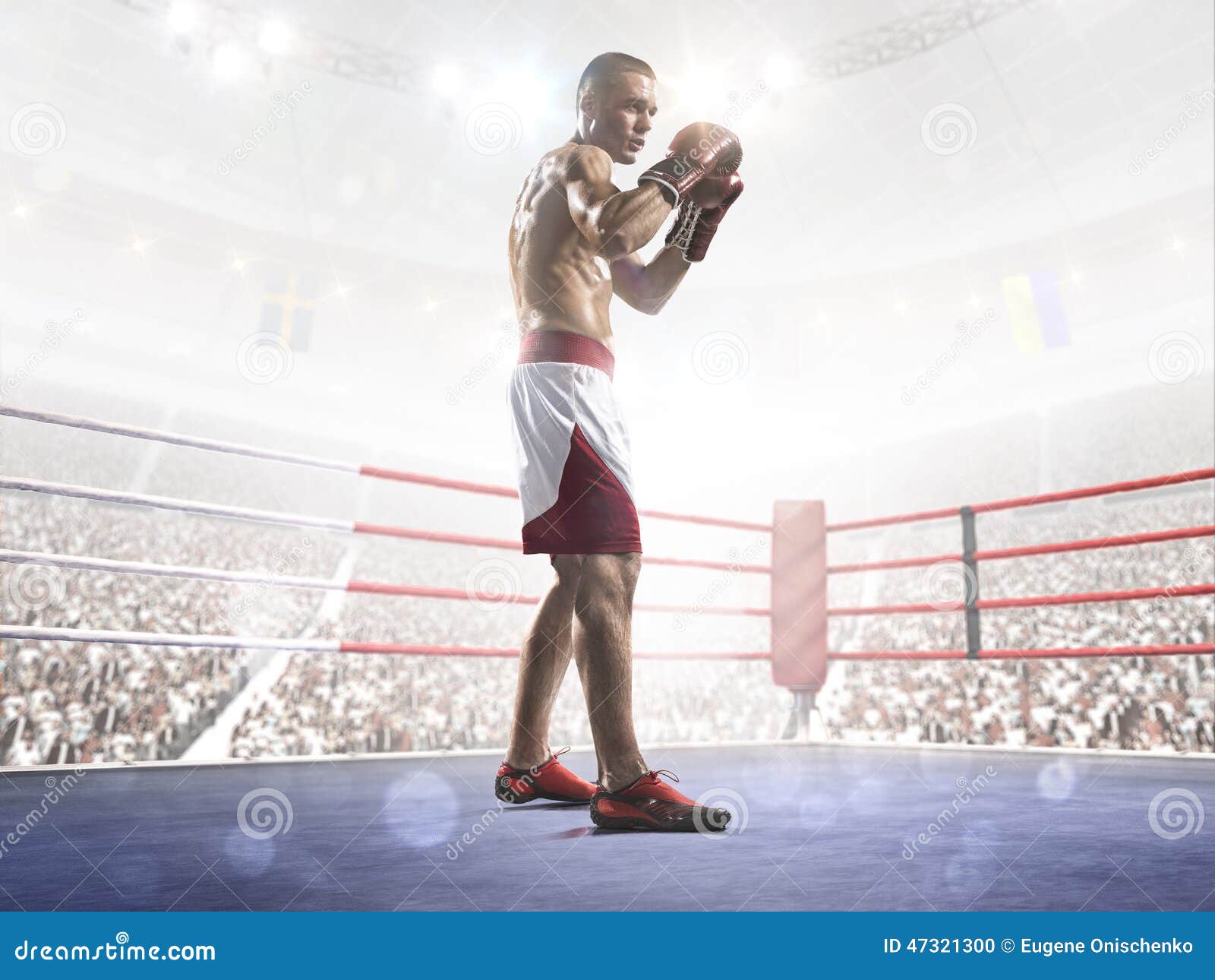 Professional Boxer is Training on the Grand Arena Stock Photo - Image ...