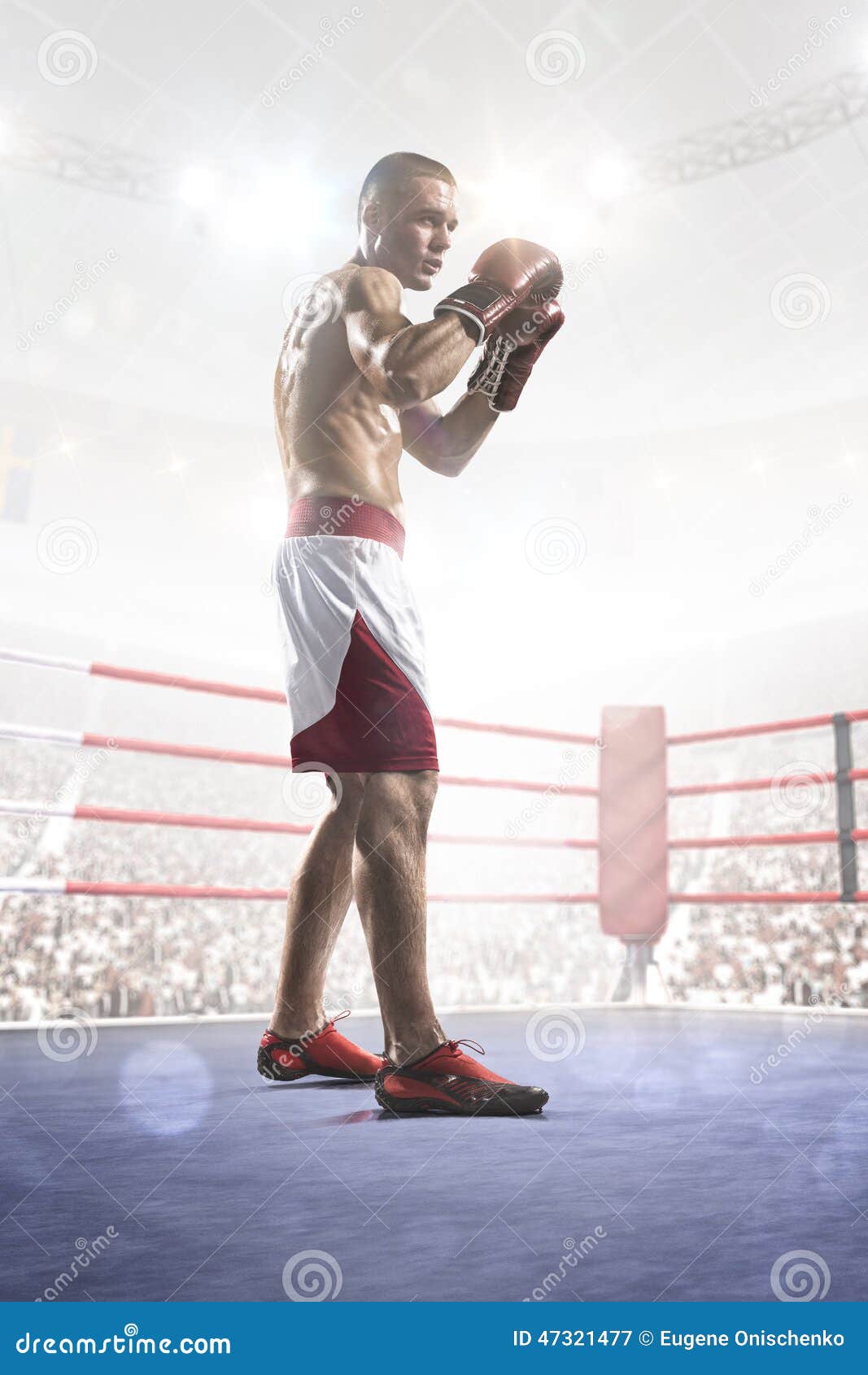 Professional Boxer is Training on the Grand Arena Stock Image - Image ...