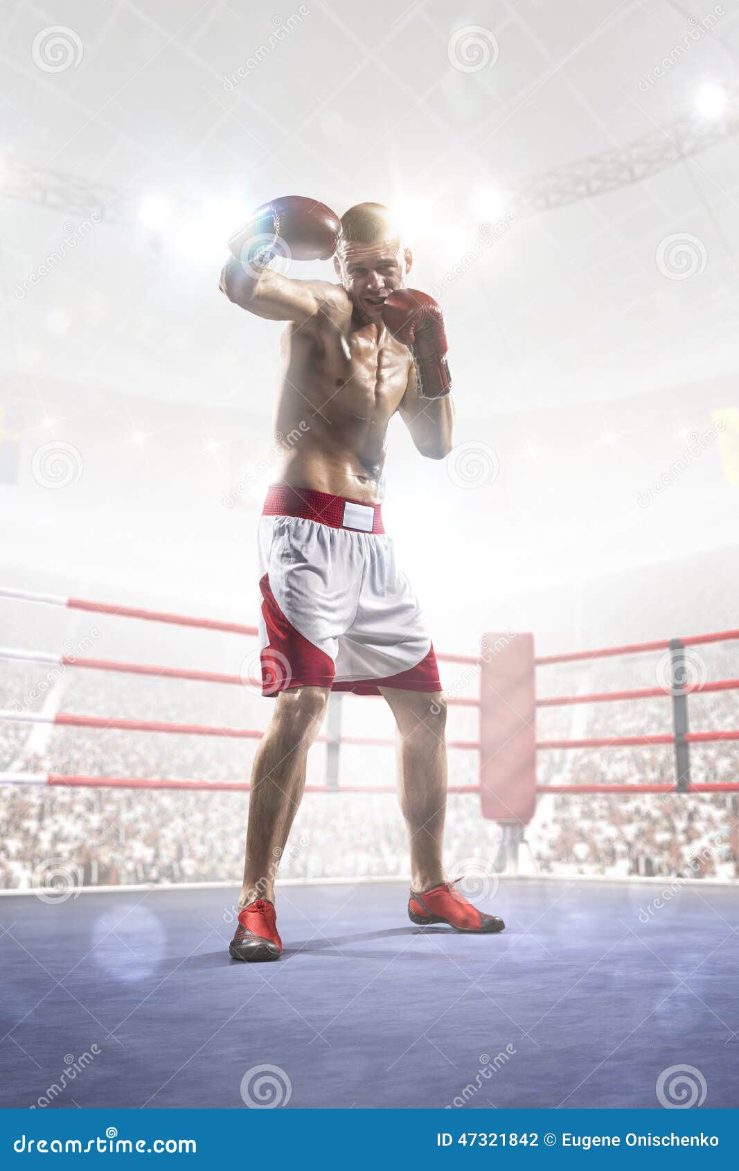 Professional Boxer is Training on the Grand Arena Stock Photo - Image ...