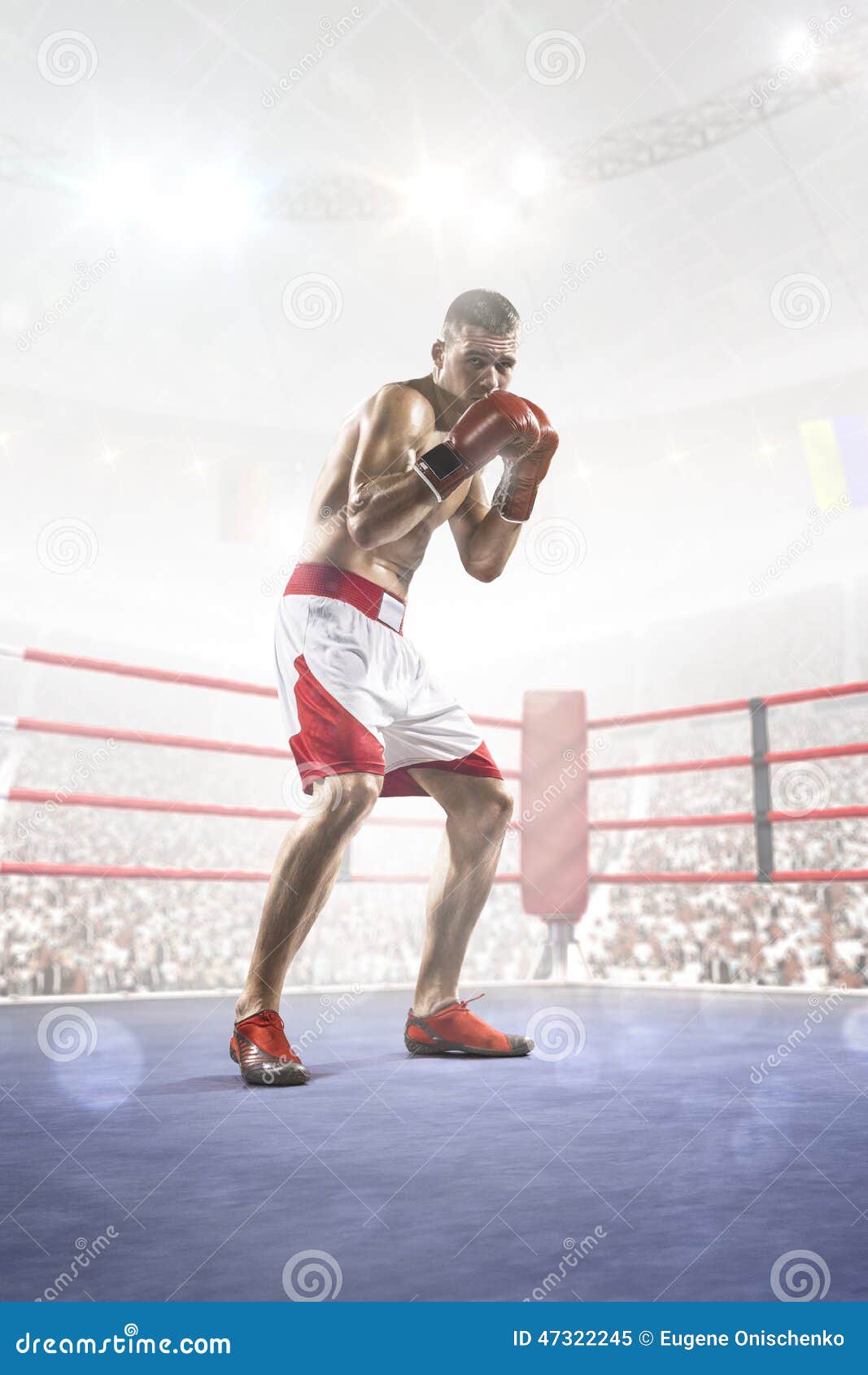 Professional Boxer is Training on the Grand Arena Stock Image - Image ...