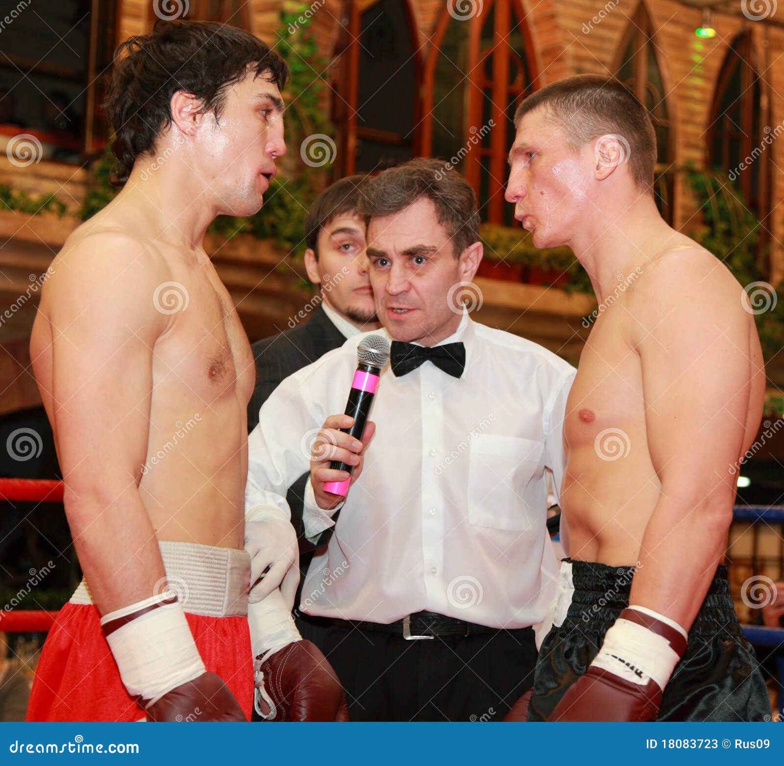 Professional boxing editorial stock photo. Image of muscular - 18083723