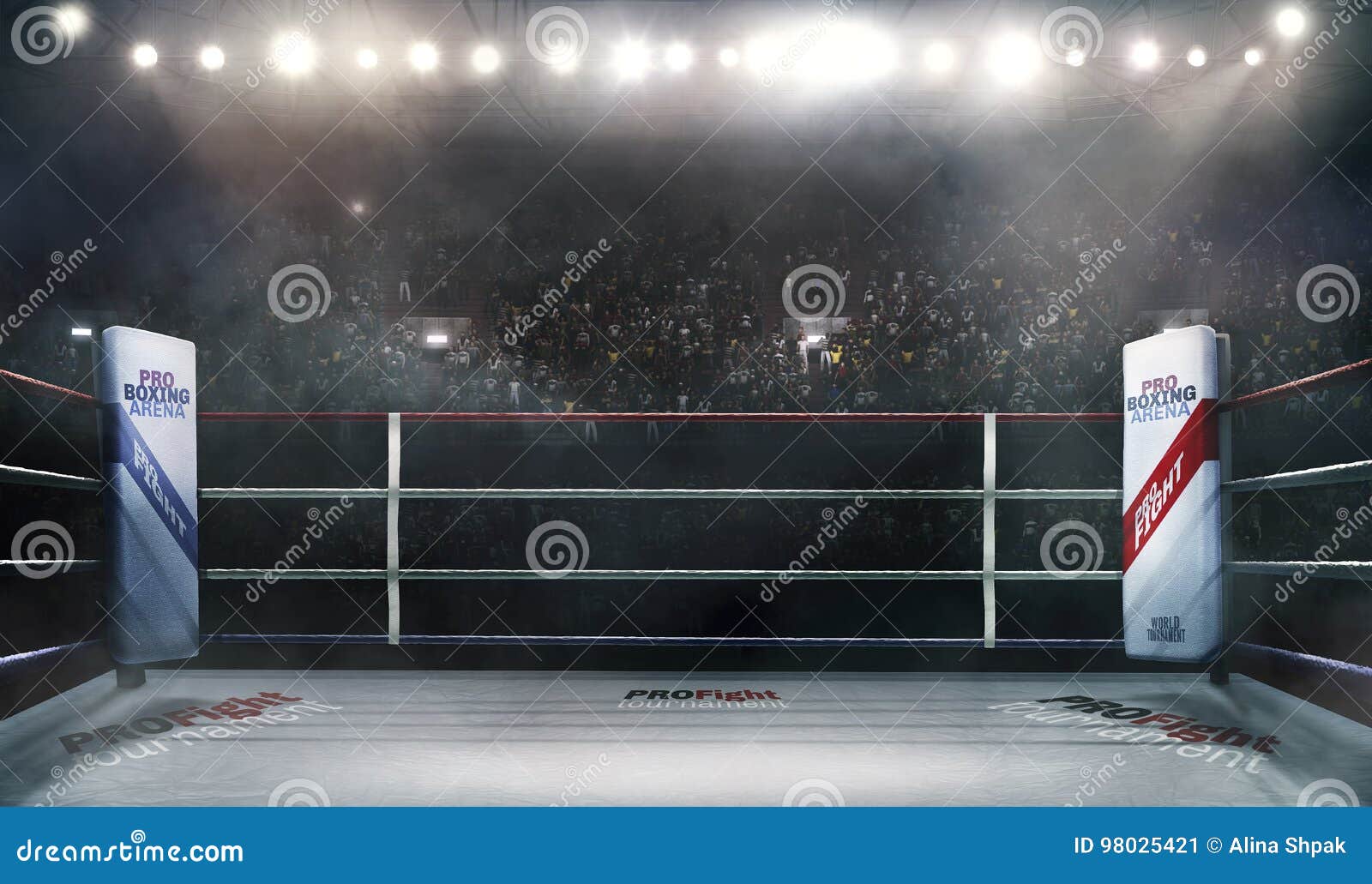 Professional Boxing Arena in Lights 3d Rendering Stock Illustration ...