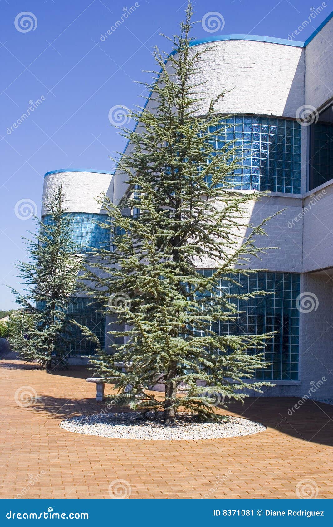 Professional Building stock image. Image of cityscape - 8371081