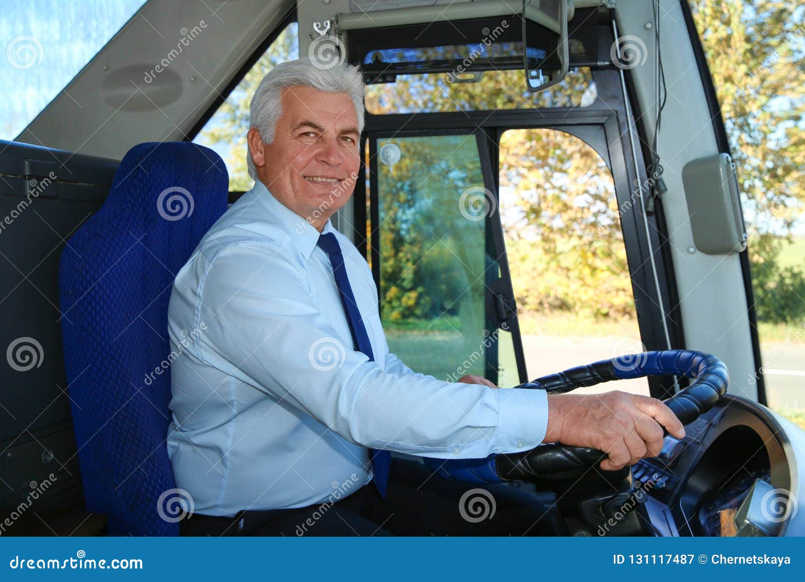 Professional Bus Driver at Steering Wheel Stock Image - Image of public ...