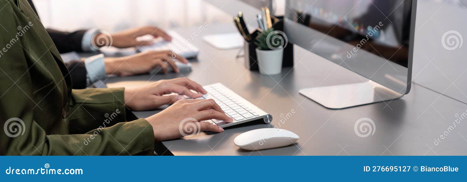 Professional Business People Working on Computer in Office. Prodigy ...