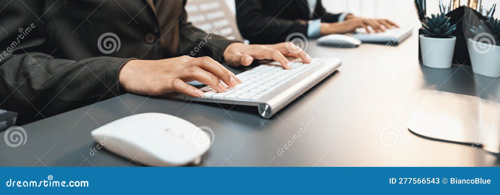 Professional Business People Working on Computer in Office. Prodigy ...