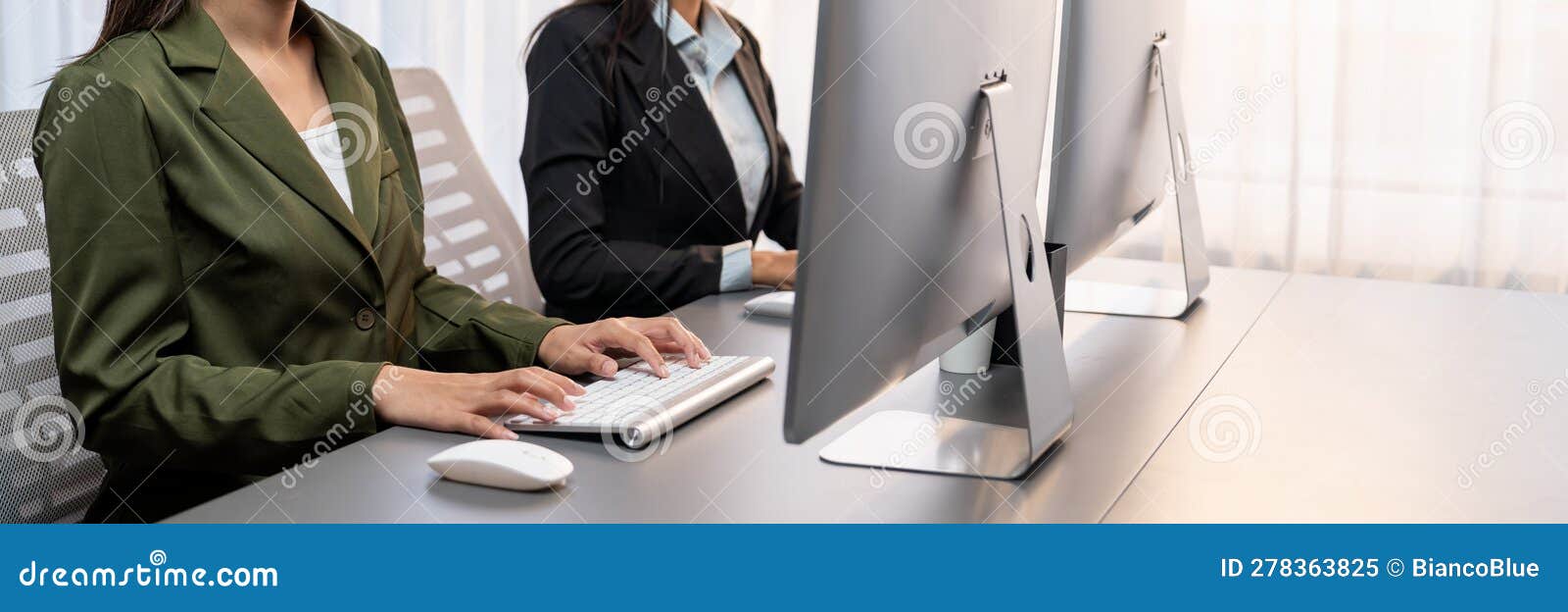 Professional Business People Working on Computer in Office. Prodigy ...