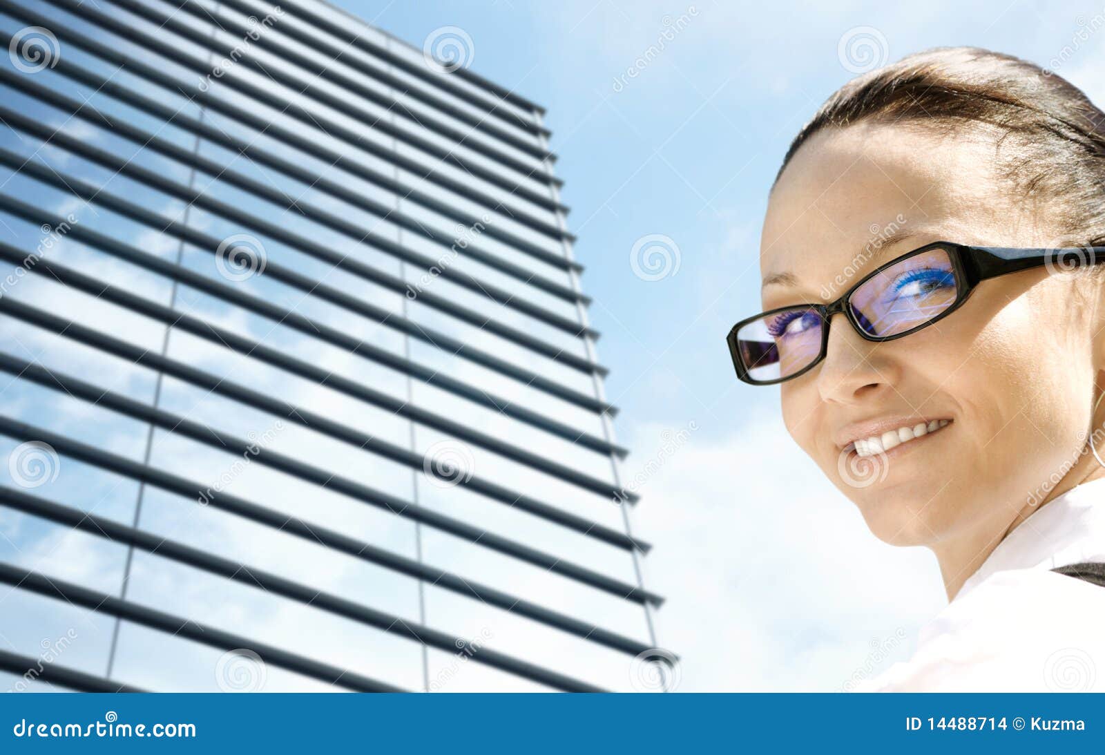 Professional businesswoman stock photo. Image of ideas - 14488714