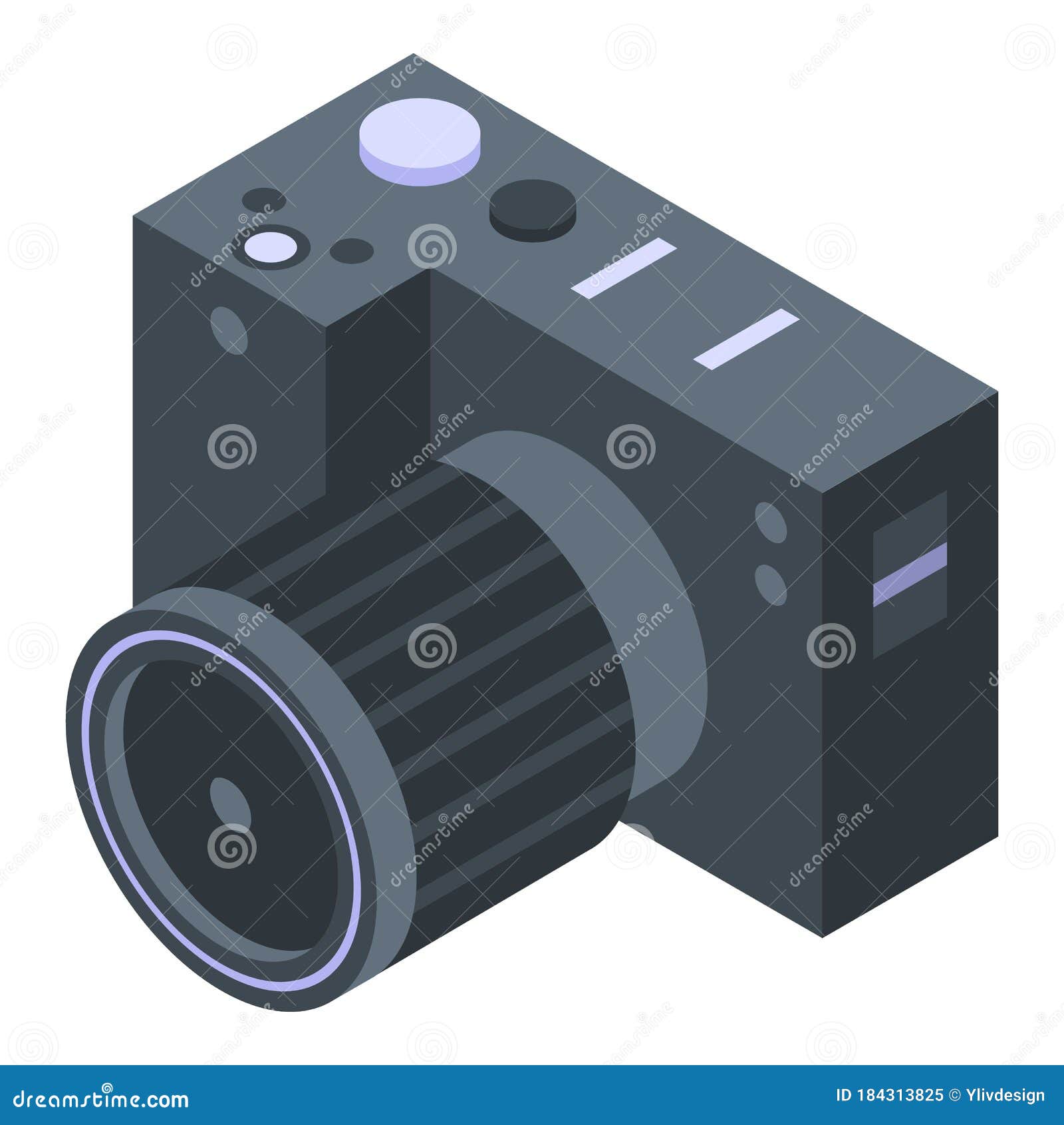 Professional Camera Icon, Isometric Style Stock Vector - Illustration ...