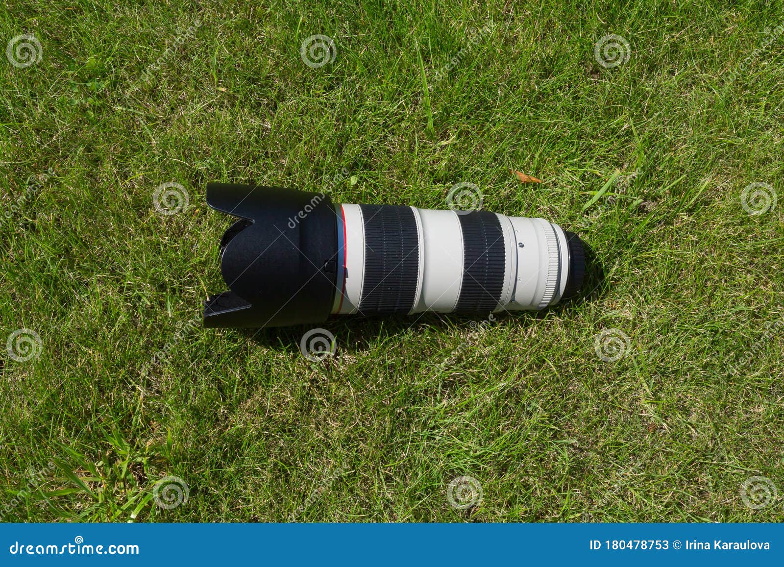 Professional Camera Lens on the Green Grass Stock Image - Image of ...